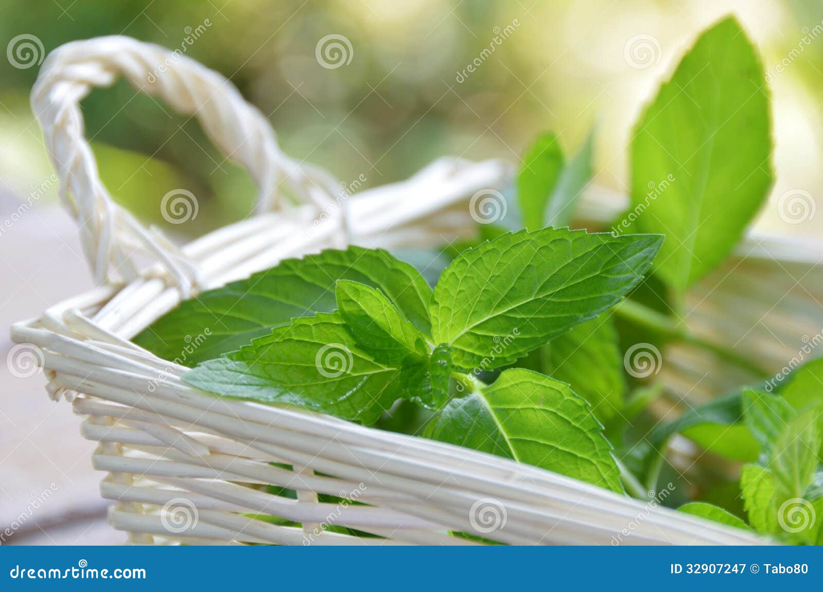Mint in basket stock image. Image of leaf, outdoor, harvested - 32907247
