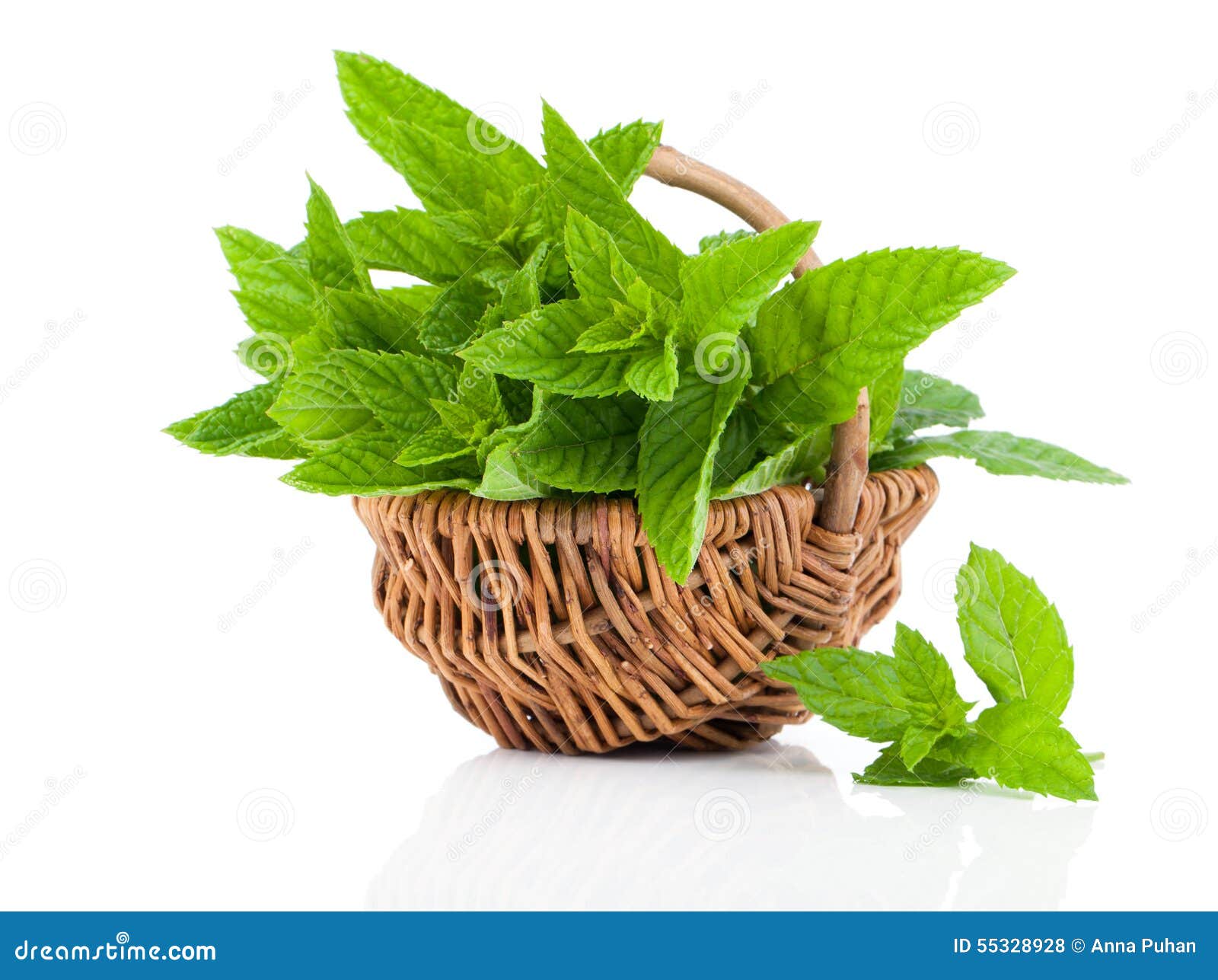 Mint stock photo. Image of bunch, bouquet, grass, healthy - 55328928