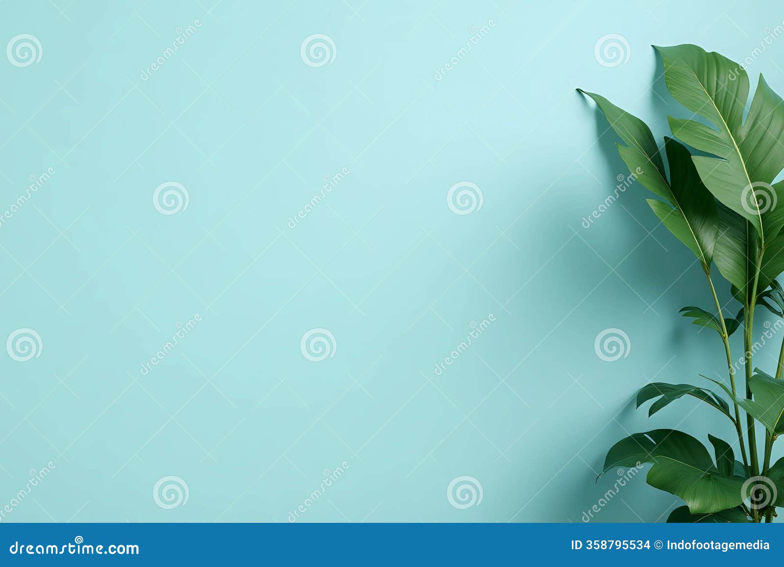 Mint Blue Cement Texture Wall Leaf Plant Shadow Background with Copy ...