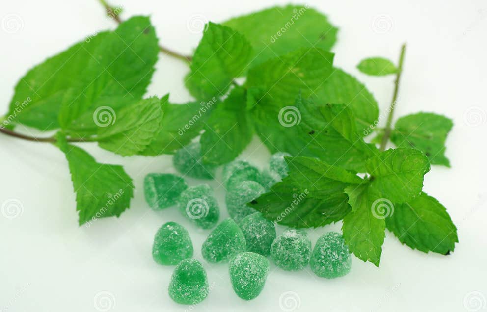 Mint and Candies stock photo. Image of garnish, food, arranged - 6388648
