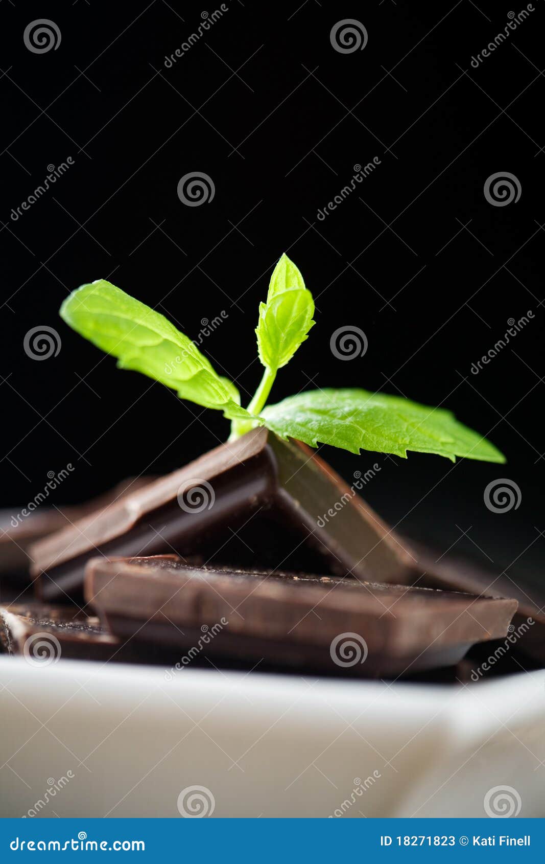 Mint chocolate stock image. Image of herb, cocoa, food - 18271823