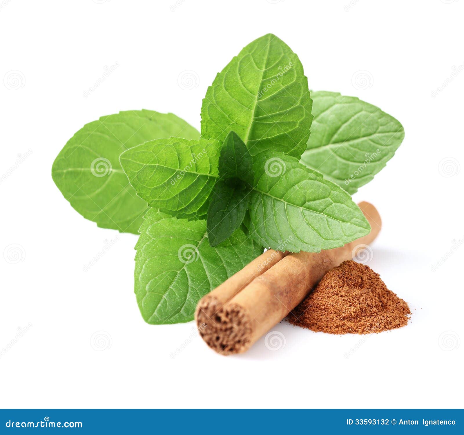 Mint with cinnamon stock photo. Image of fresh, plant - 33593132