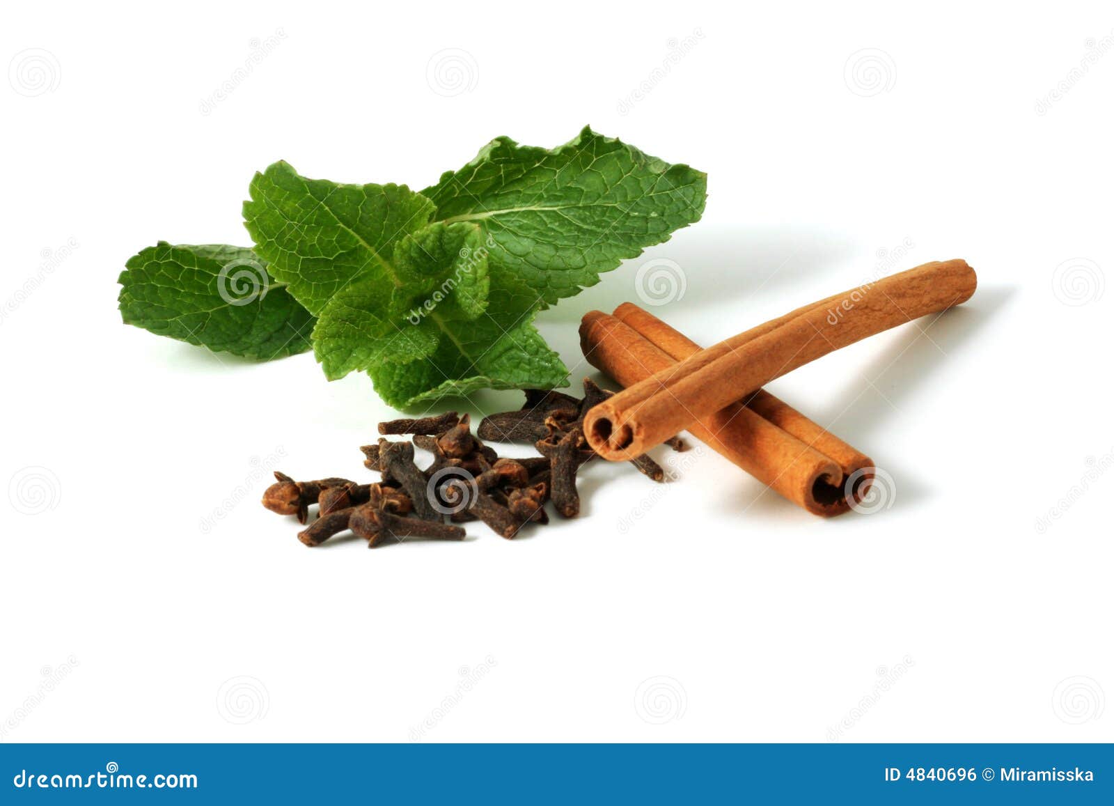 Mint cloves and cinnamon stock photo. Image of flavoring - 4840696