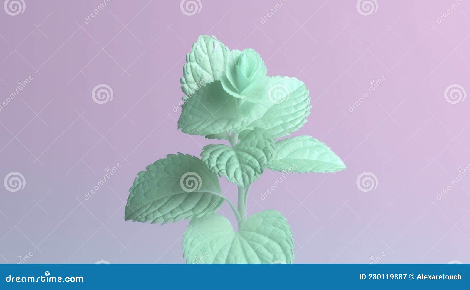 Mint Color Items on a Pink Background. Visualization of the Space of a ...