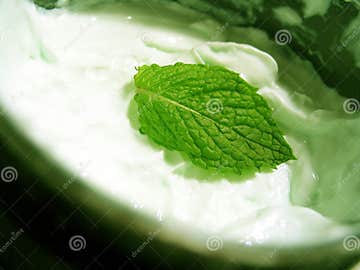 Mint Cream stock photo. Image of herbs, textures, smooth - 16258