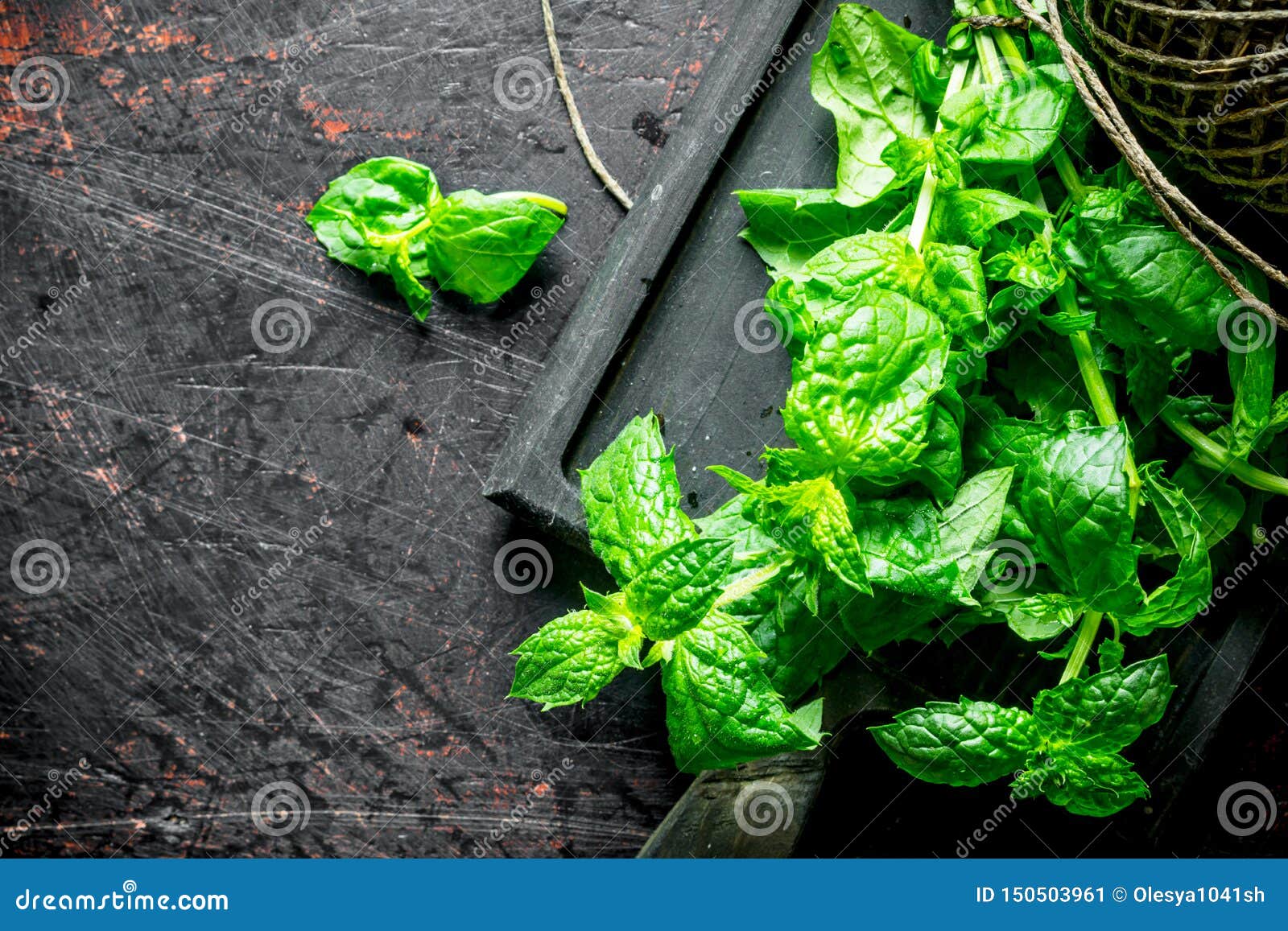 Mint on a Cutting Board with Old Twine Stock Image - Image of aroma ...