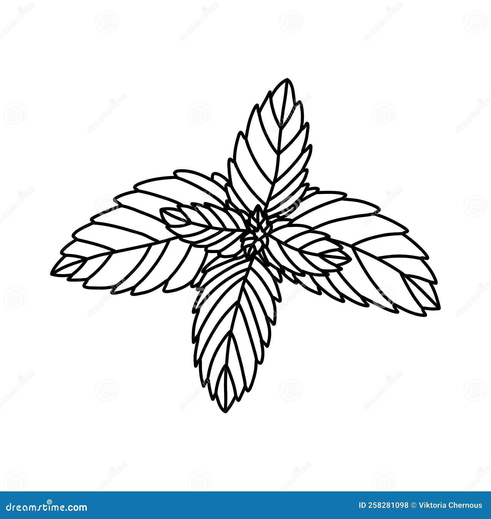 Mint Doodle Icon, Vector Color Line Illustration Stock Vector ...