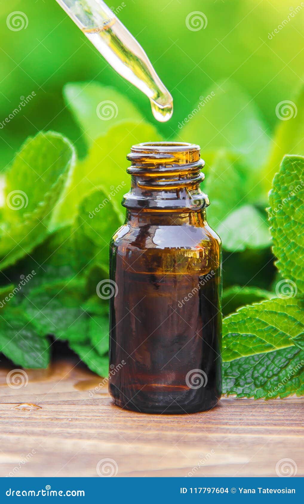 The Mint Extract in a Small Jar. Stock Photo - Image of medicinal ...