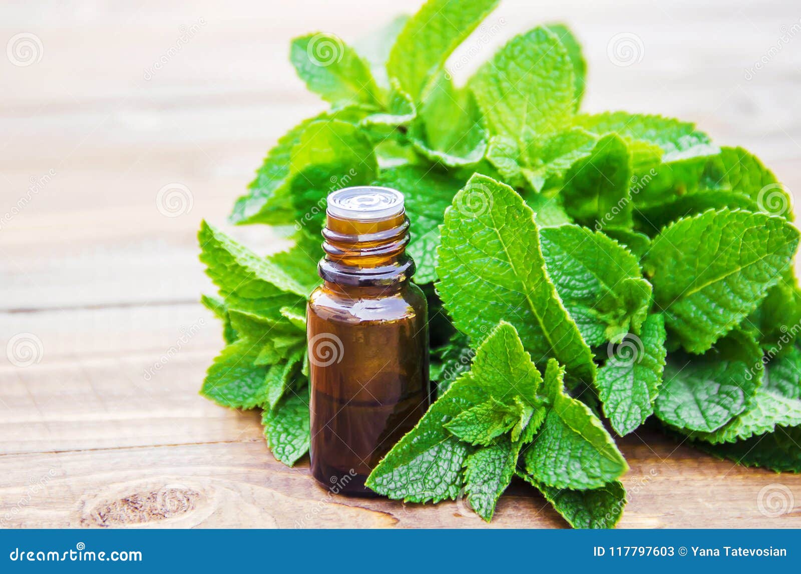 The Mint Extract in a Small Jar. Stock Image - Image of bottle, glass ...