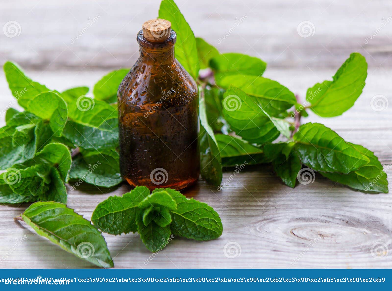 The Mint Extract in a Small Jar Stock Photo - Image of treatment ...