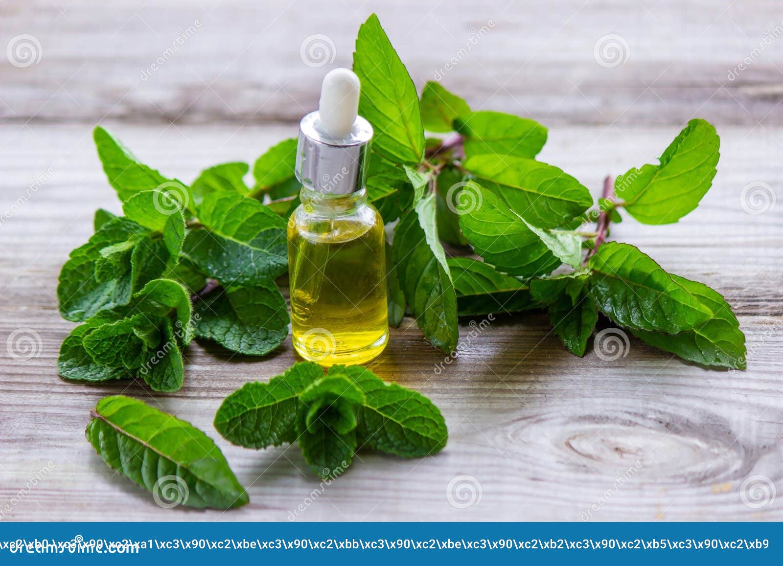 The Mint Extract in a Small Jar Stock Image - Image of aroma ...