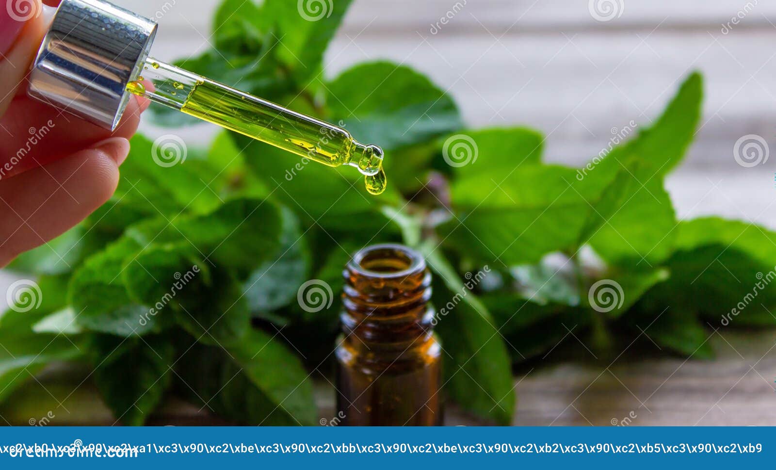The Mint Extract in a Small Jar Stock Photo - Image of spearmint ...