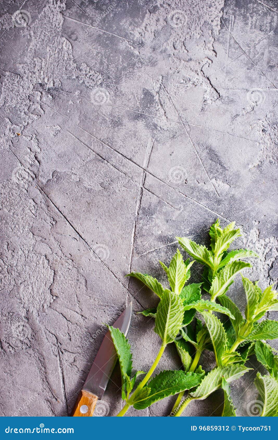 Mint stock photo. Image of leaf, close, closeup, herbal - 96859312