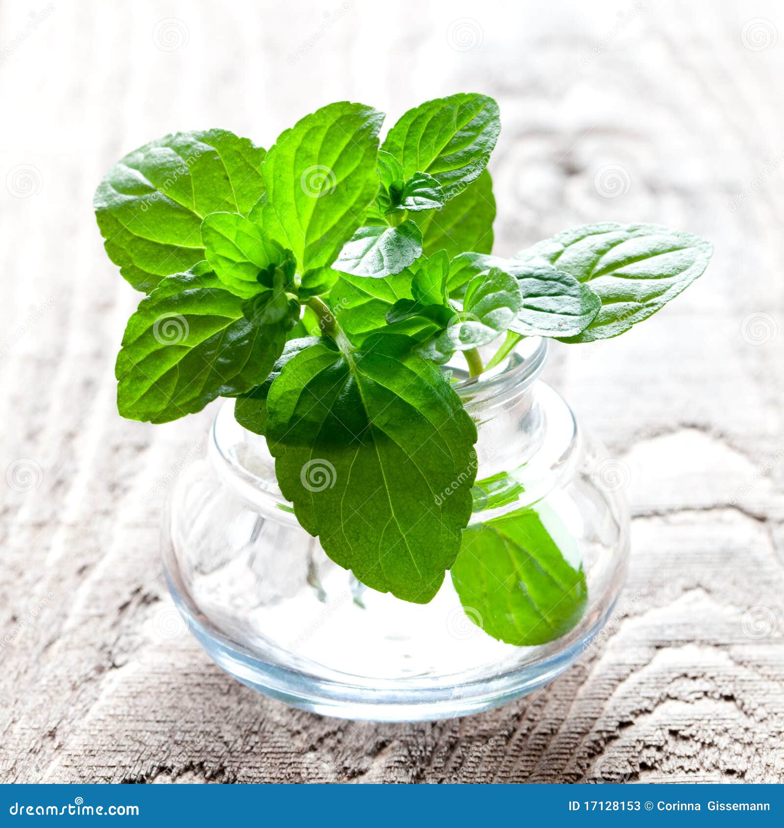 Mint in a glass stock image. Image of flavor, spicy, vegetable - 17128153