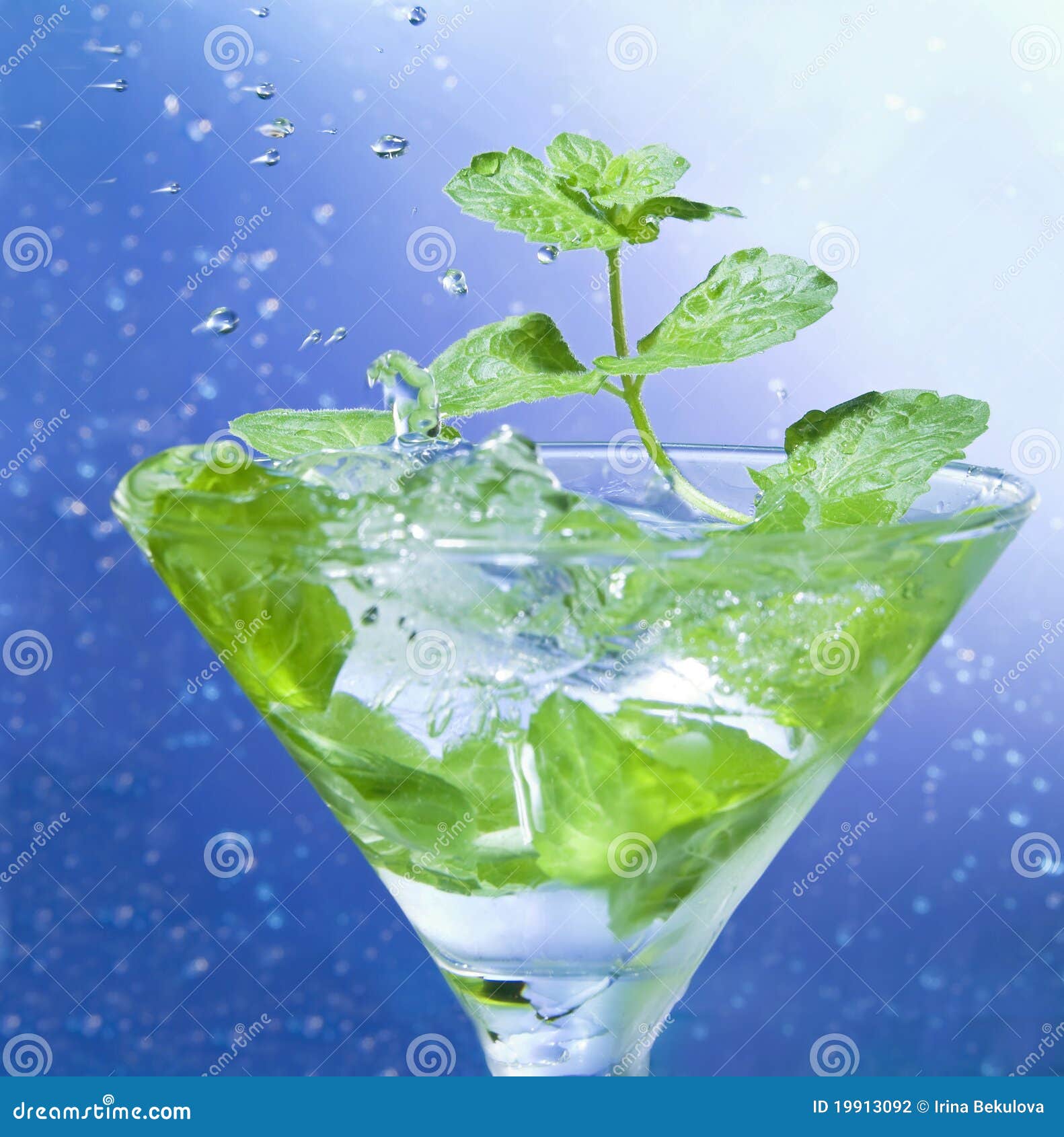 Mint in glass stock photo. Image of studio, wine, water - 19913092