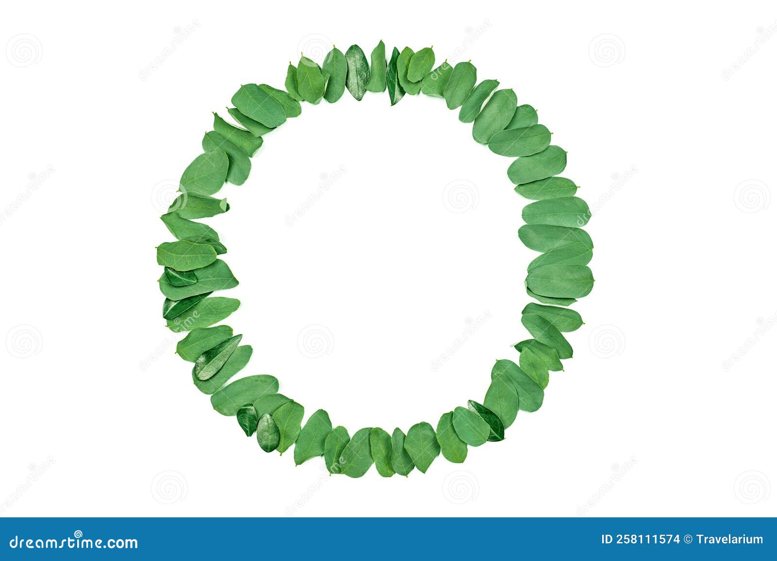Mint Green Leaves As Circle Frame Isolated on White Background, Empty ...