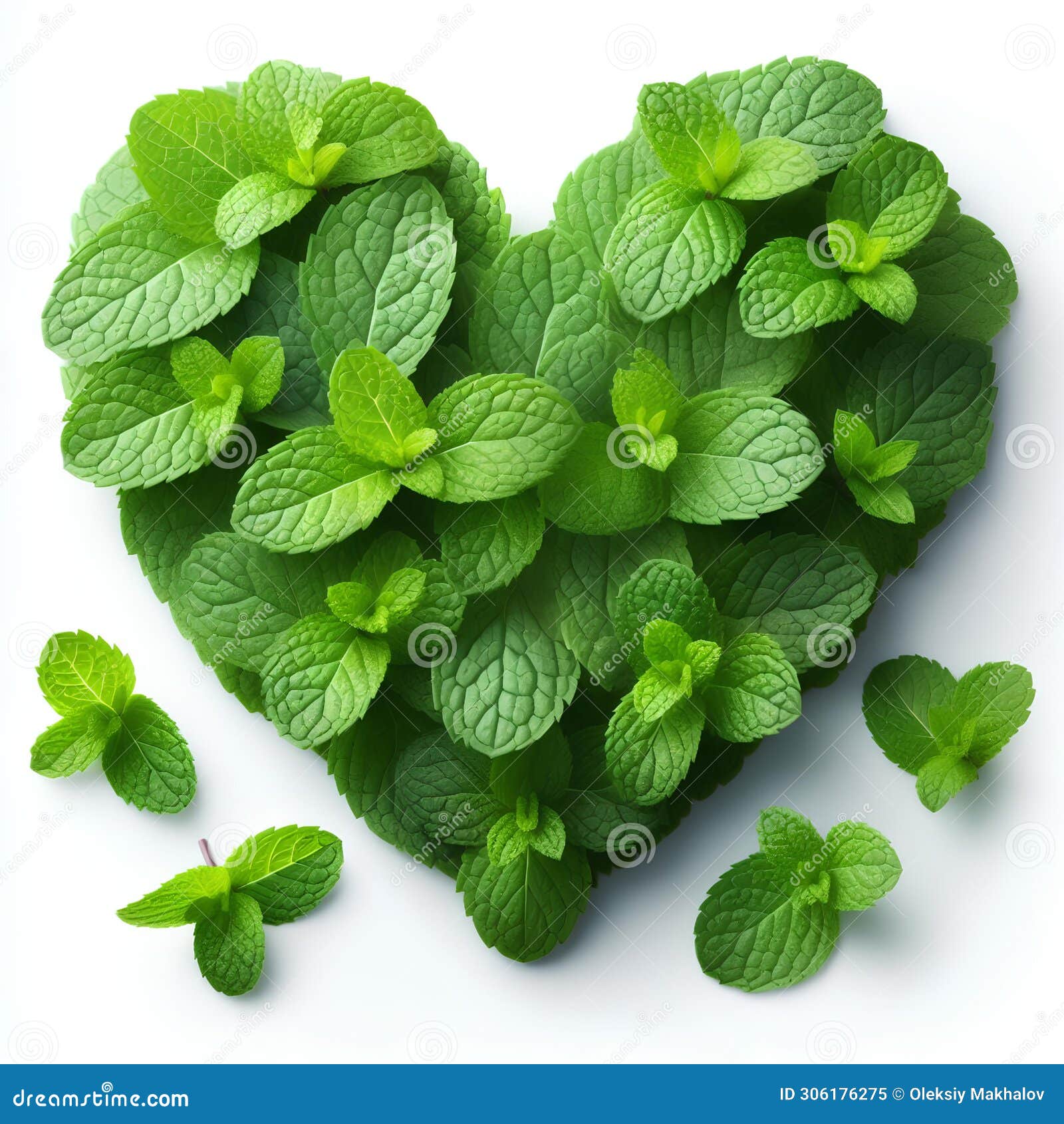 Mint Herb Leaves Heart Shape Isolated on White Background Stock ...
