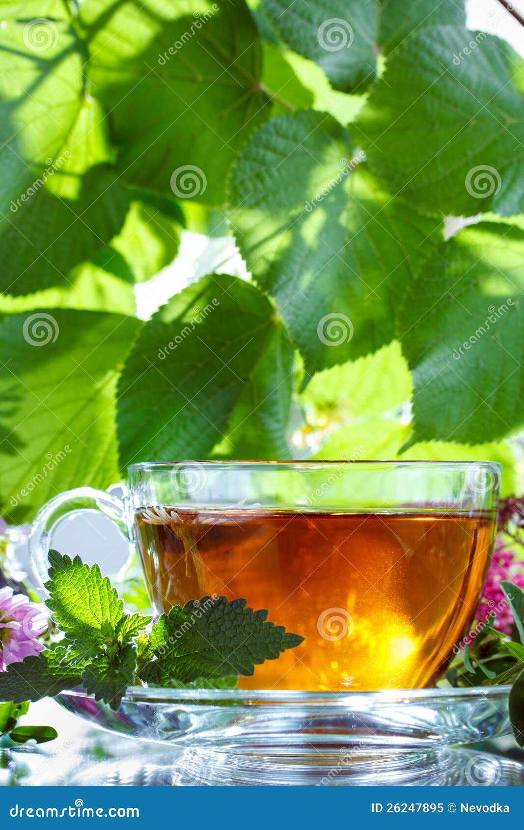 Tea. Mint Tea. Herbal Tea. Mint Leaf. Mint Leaves. Tea In A Glass Cup ...