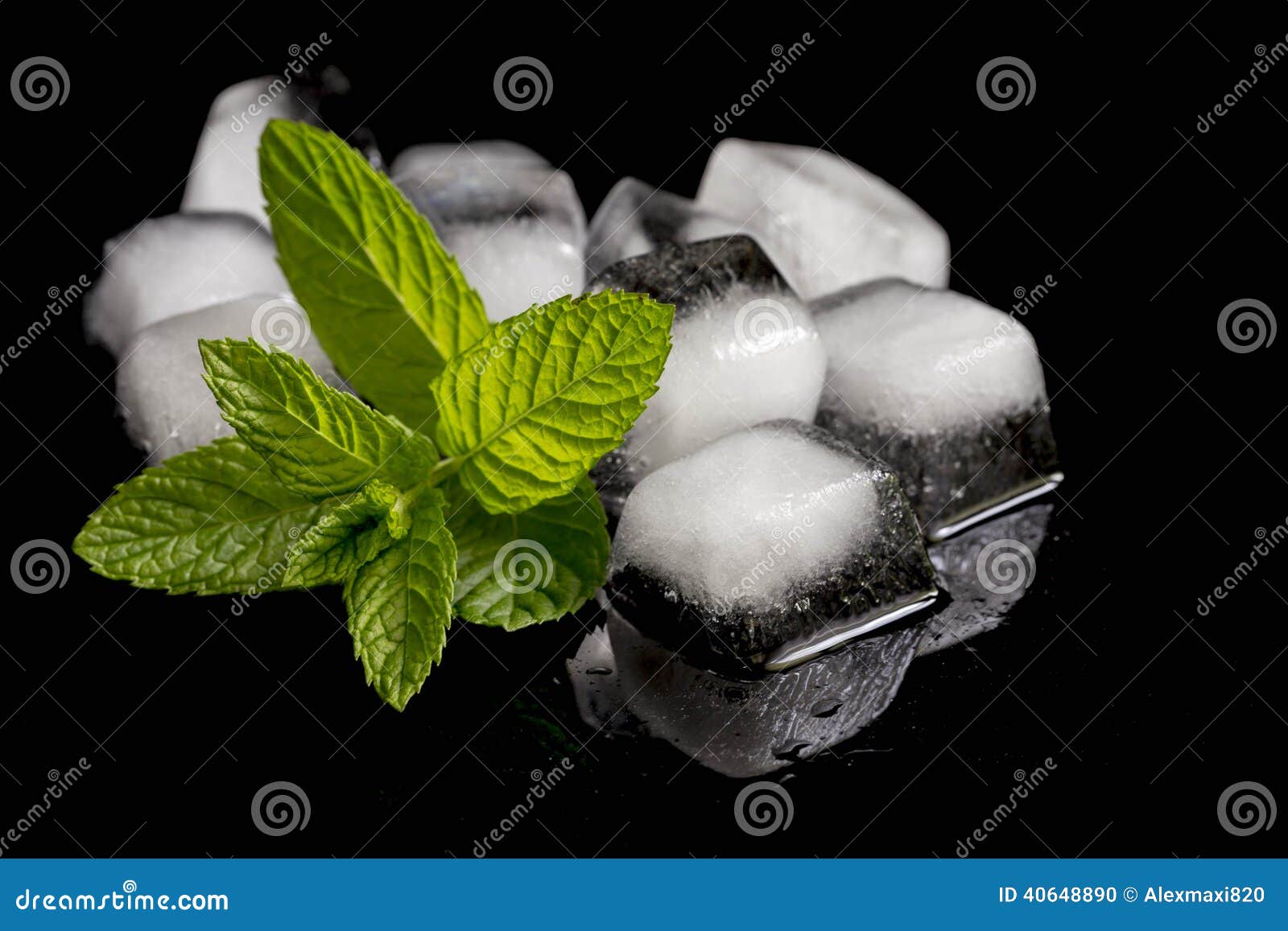 Mint and ice cubes stock photo. Image of melting, reflection - 40648890