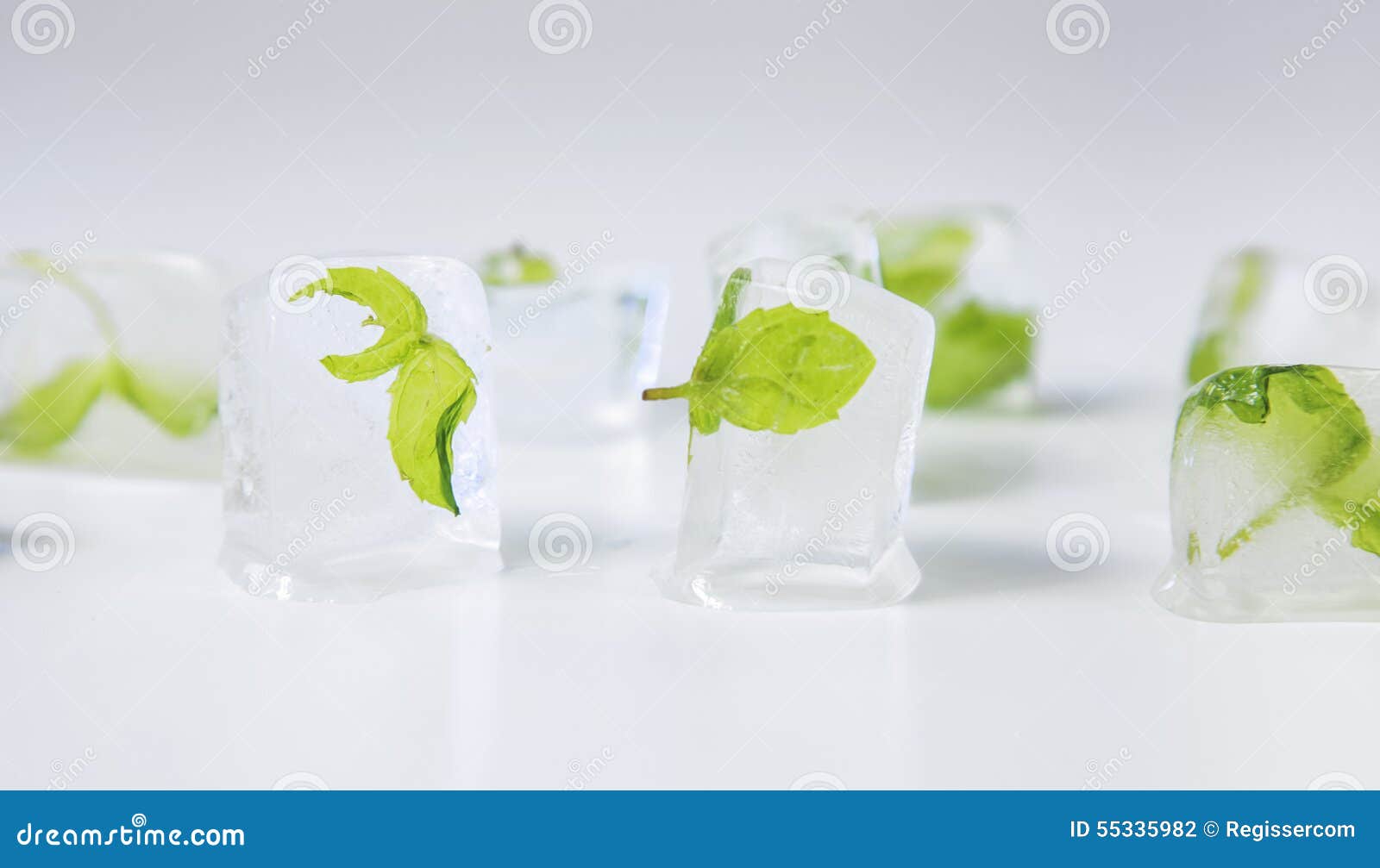 Mint in ice cubes on white stock photo. Image of leaf - 55335982