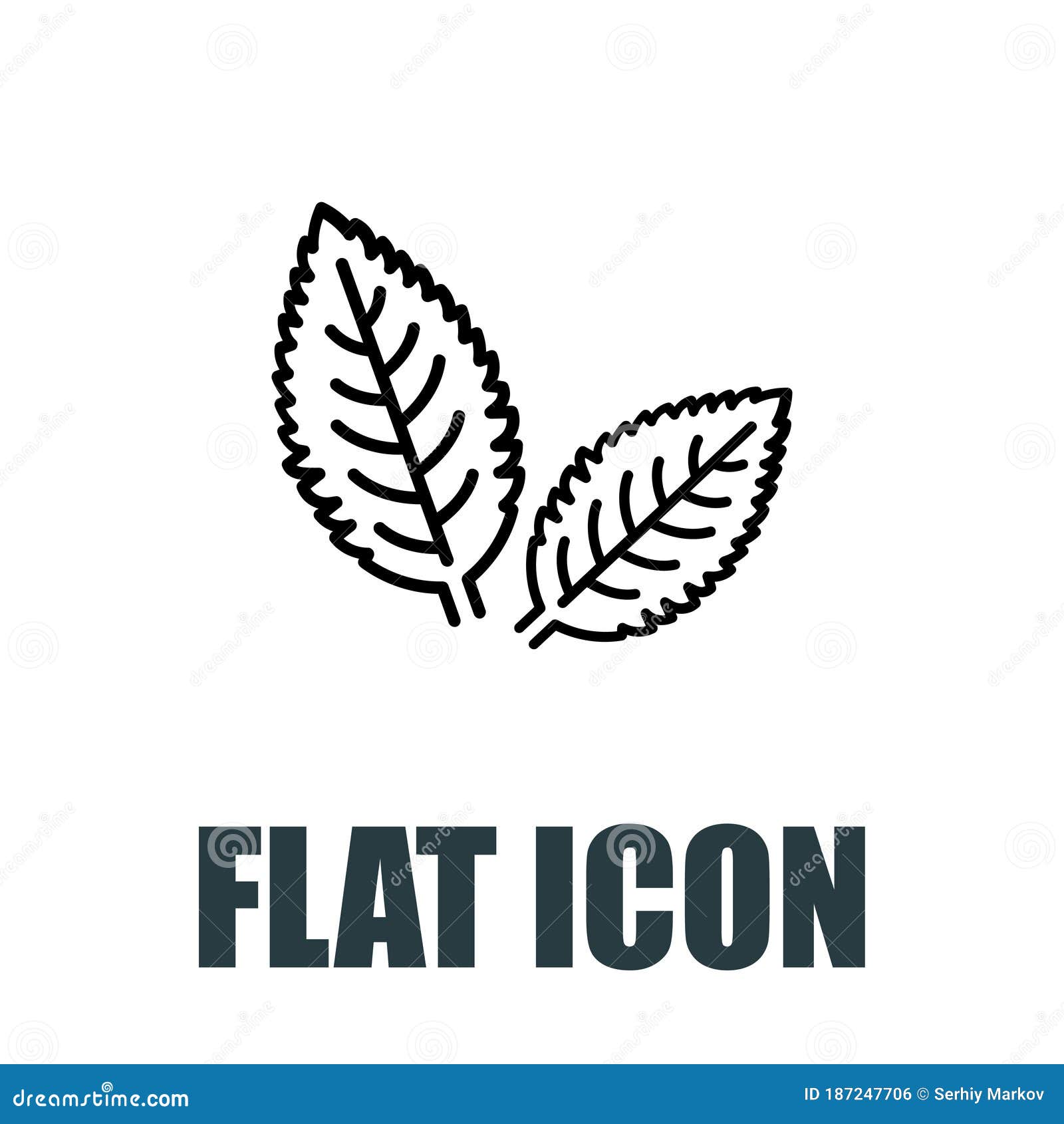 Mint Icon. Culinary Herb. Cartoon Fresh Mint Leaves On White Background ...