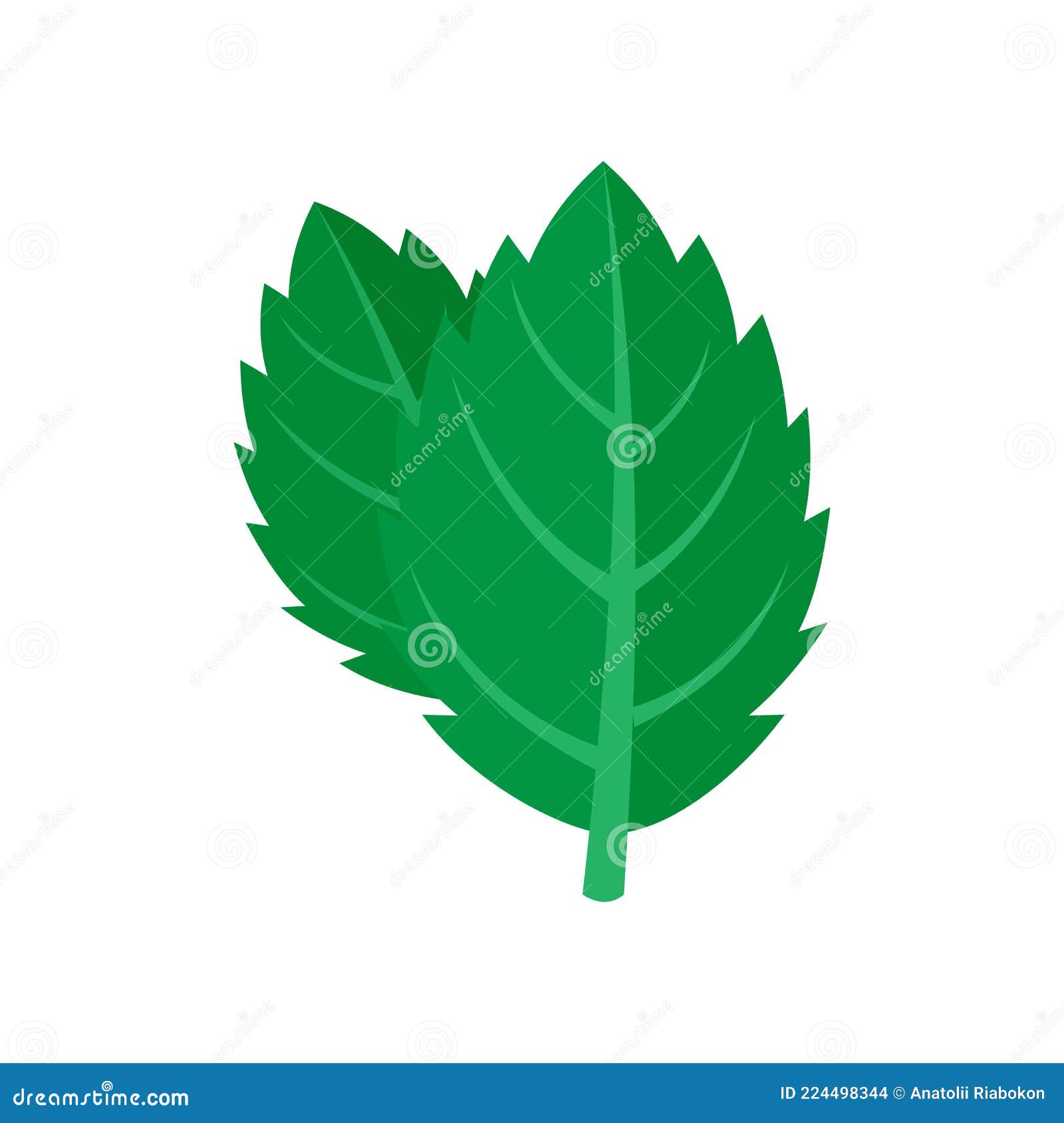 Mint Icon Flat Isolated Vector Stock Vector - Illustration of vector ...