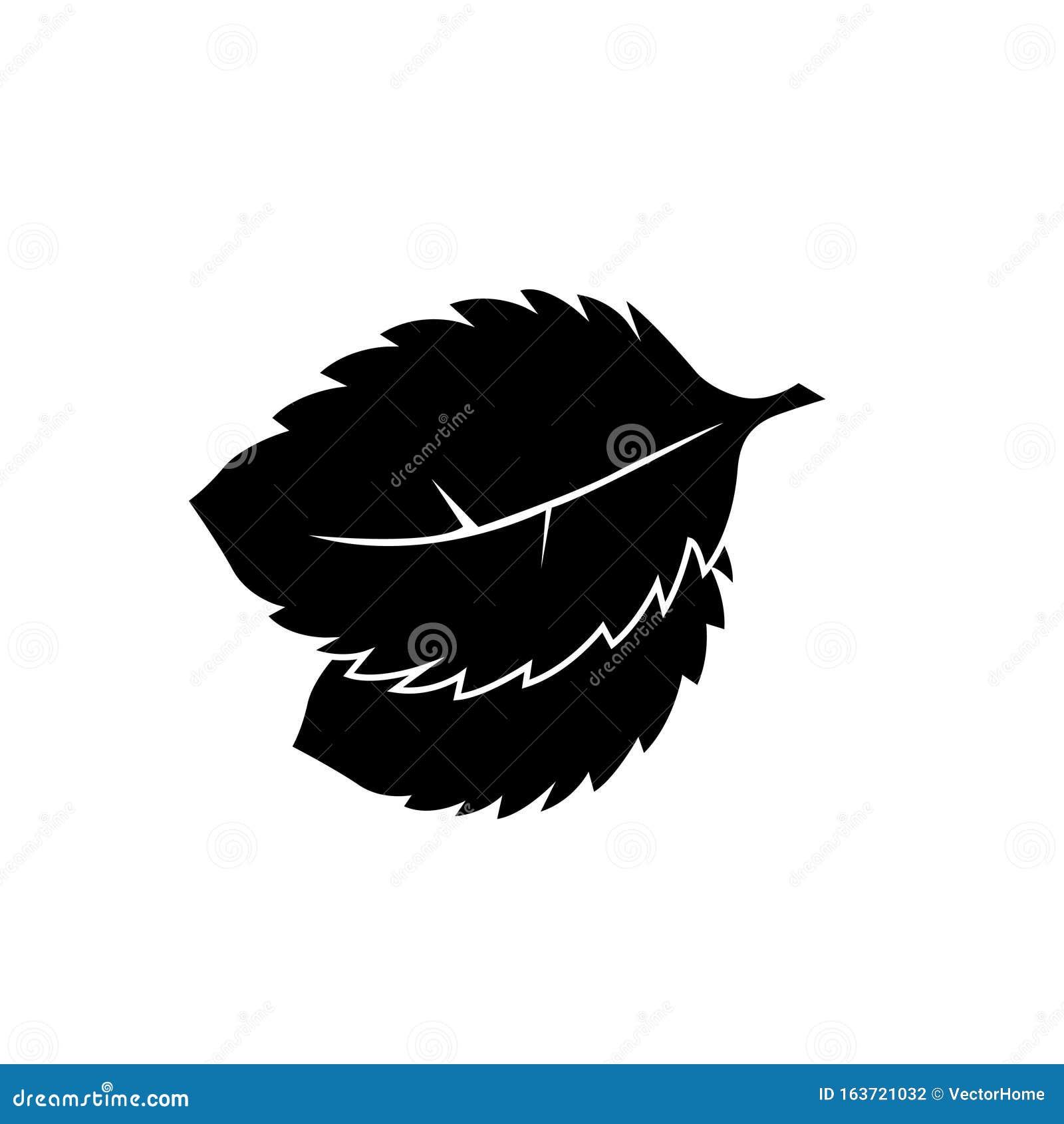 Mint icon , vector stock vector. Illustration of graphic - 163721032