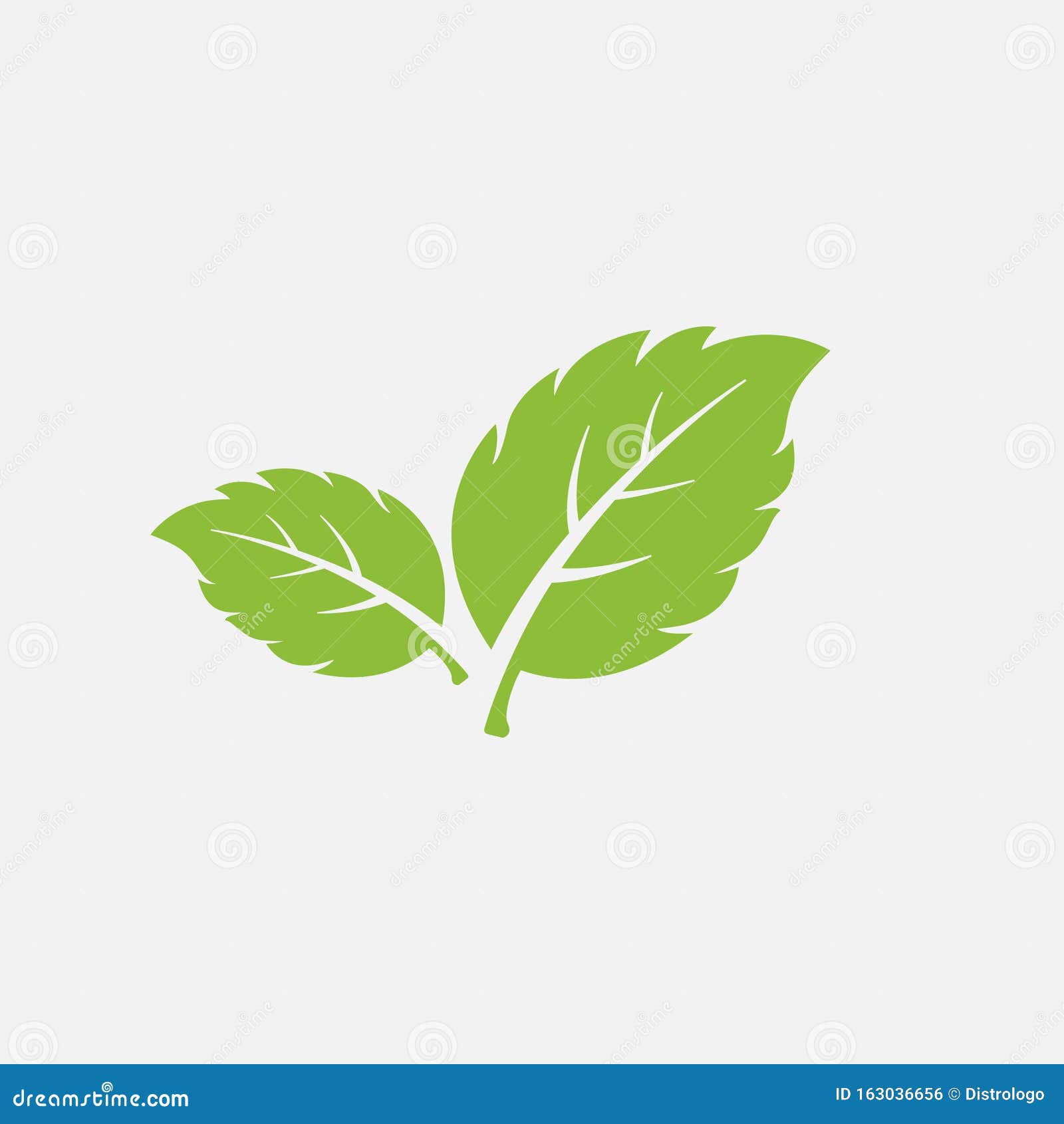 Mint Leaf Element Vector Icon. Green Mint Leaves Vector Symbol Stock ...
