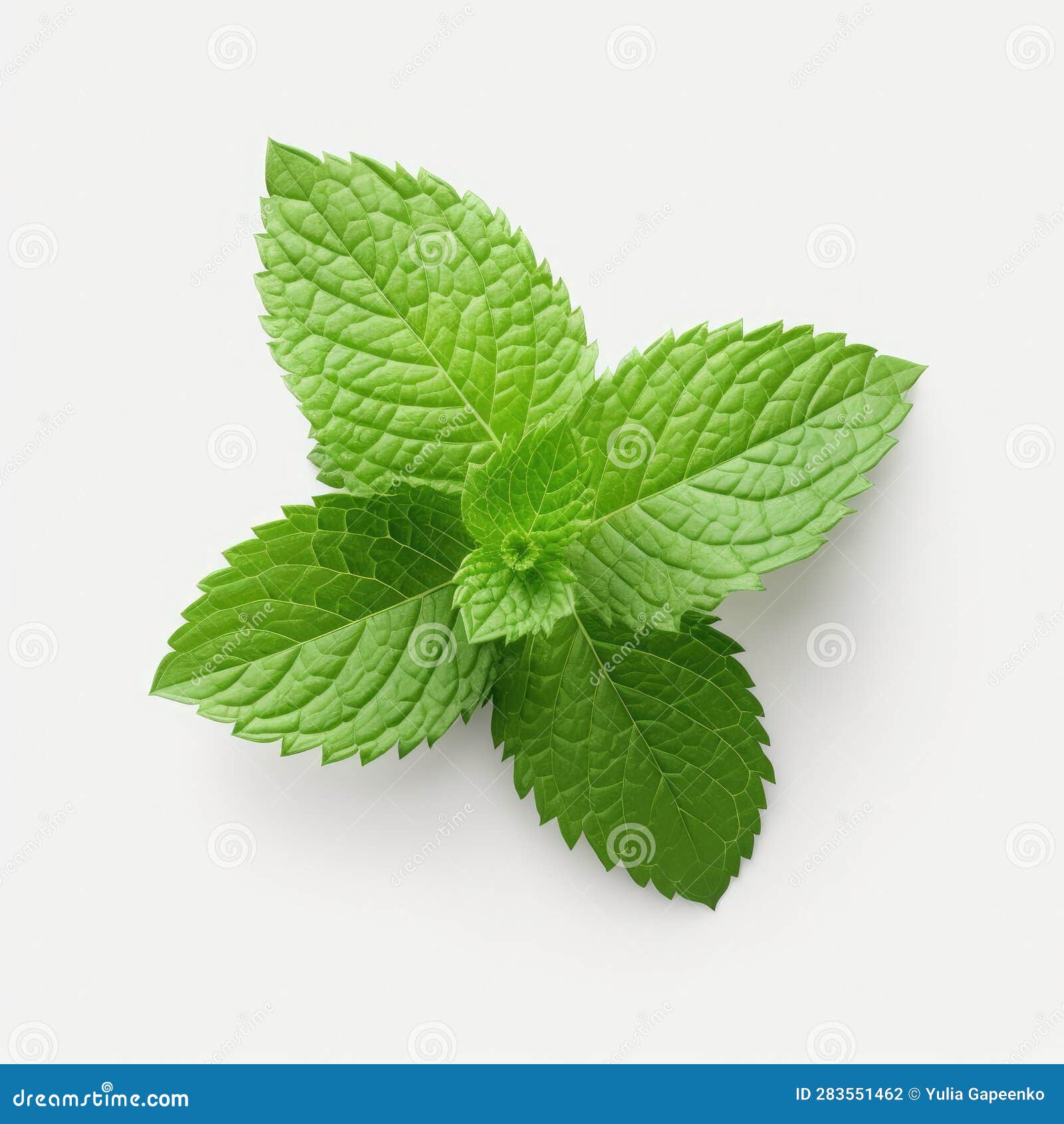 Mint Leaf Isolated on White. Illustration AI Generative Stock ...