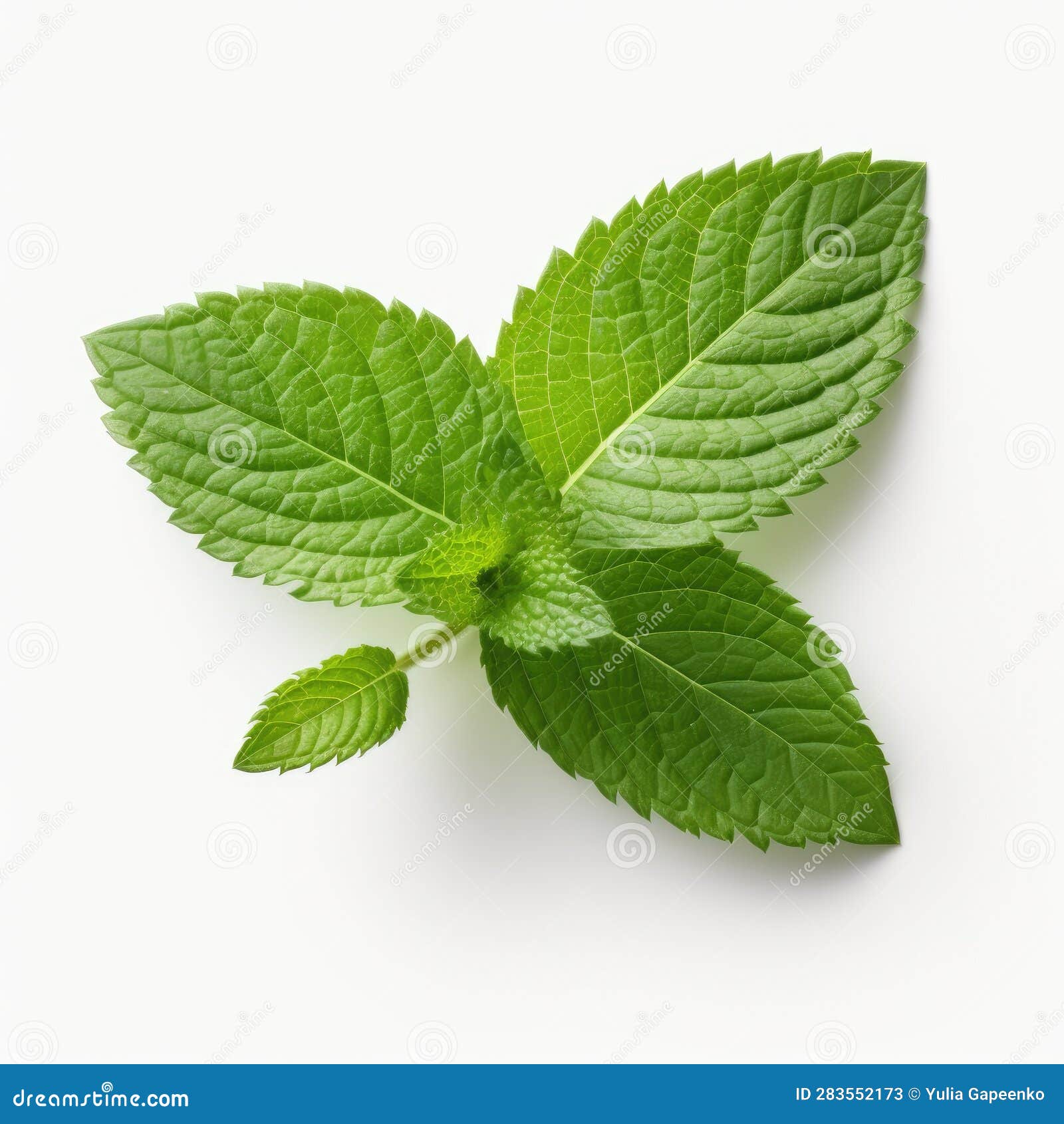 Mint Leaf Isolated on White. Illustration AI Generative Stock ...