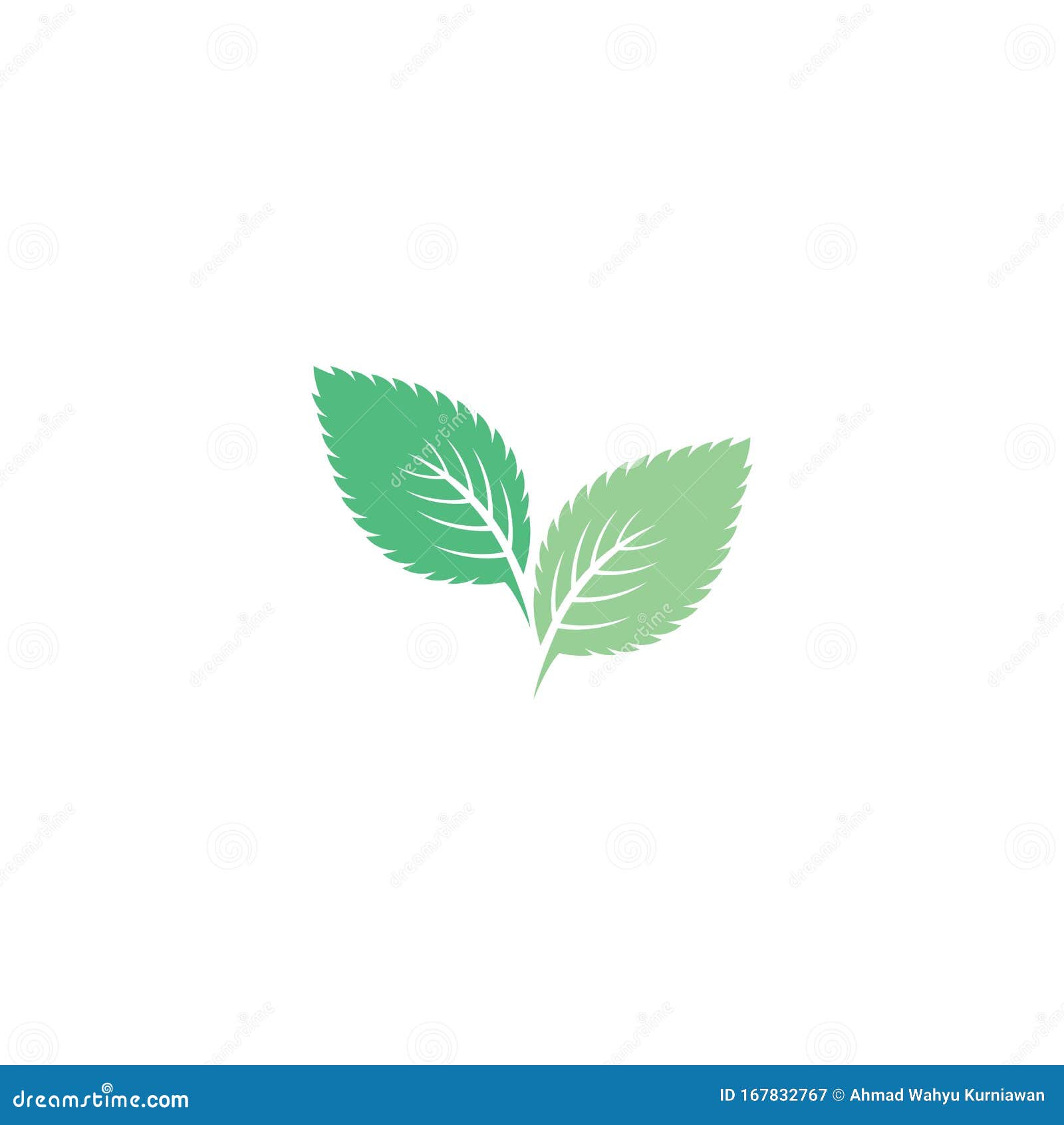 Mint leaf logo stock vector. Illustration of spearmint - 167832767