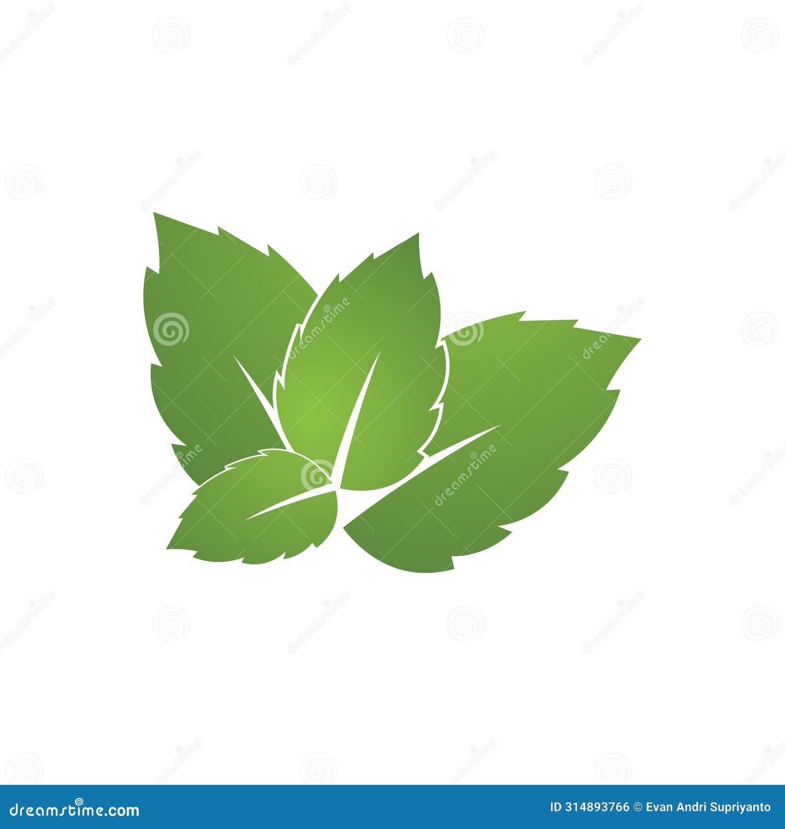 Mint Leaf Logo Vector Template Symbol Design Stock Illustration ...