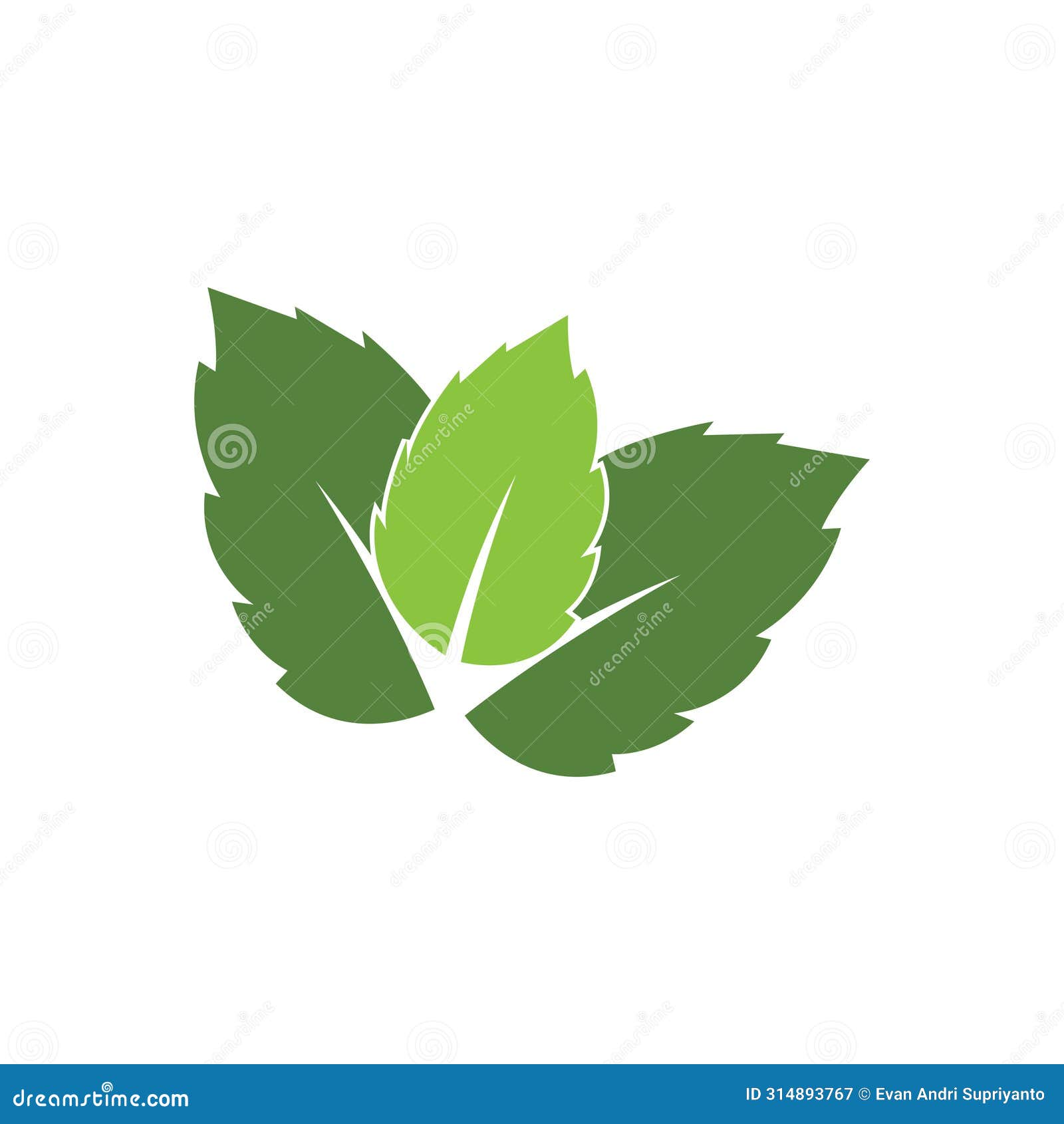 Mint Leaf Logo Vector Template Symbol Design Stock Illustration ...