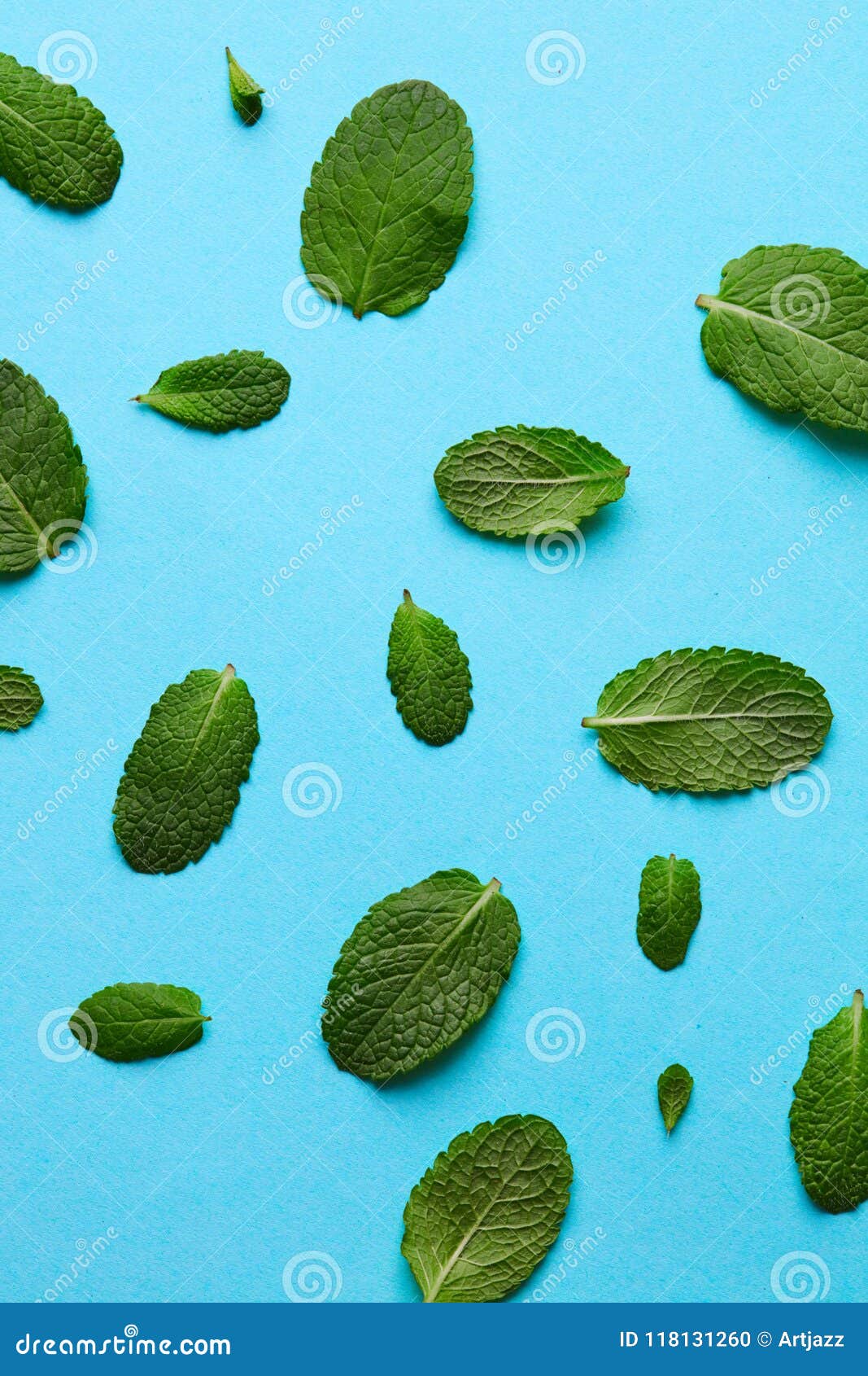 Mint Leaf Pattern on Blue Background. Stock Photo - Image of blue ...