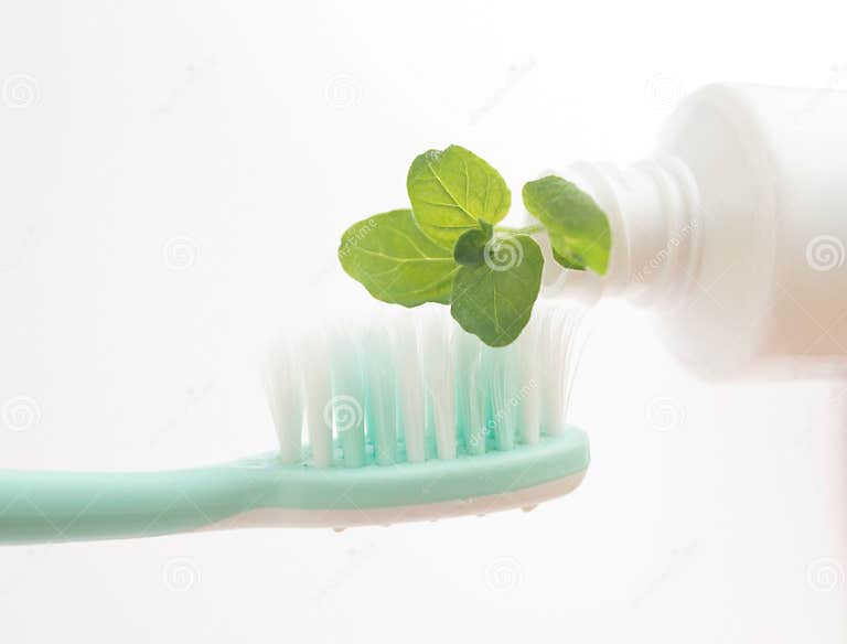 Mint Leaf on Toothbrush with Toothpaste Stock Photo - Image of leaf ...