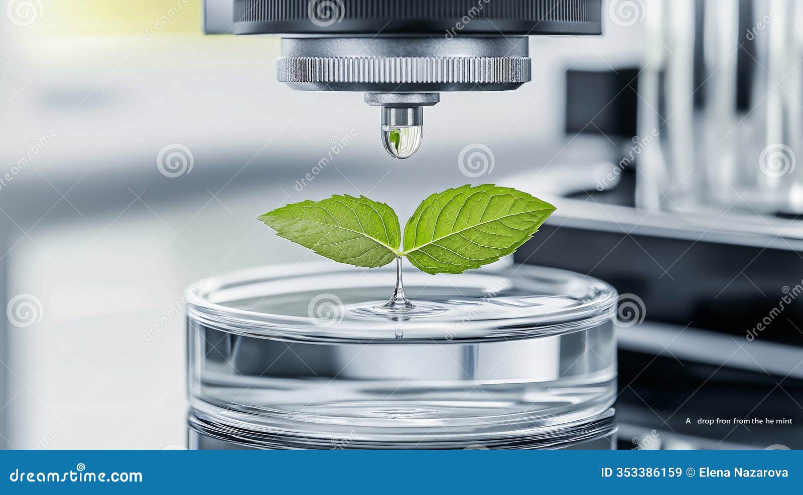 Mint Leaf Under Microscope with Water Droplet in Laboratory Setting ...