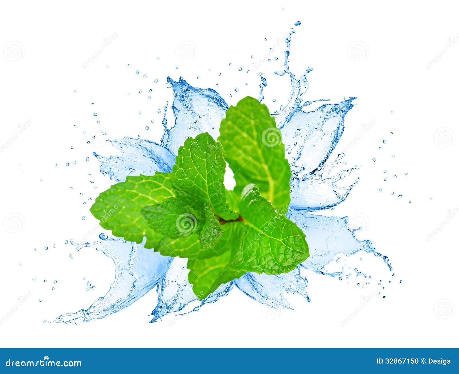 Mint leafs water splash stock photo. Image of mint, spice - 32867150