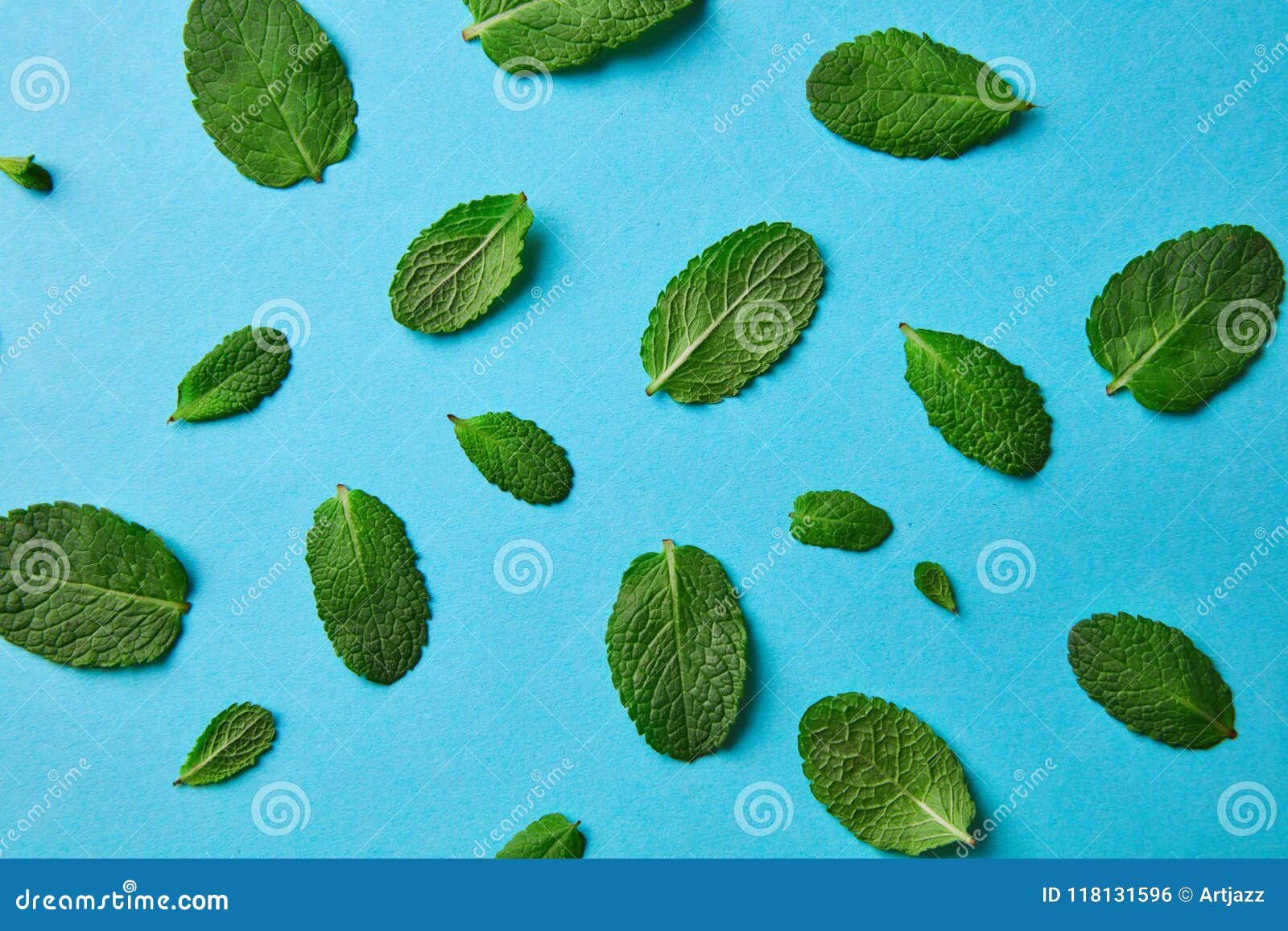 Fresh Mint Leaves Pattern in Blue Background Stock Photo - Image of ...