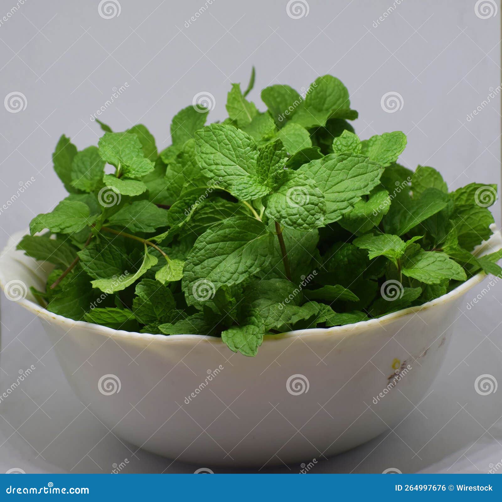 Mint leaves in a bowl stock photo. Image of beverage - 264997676