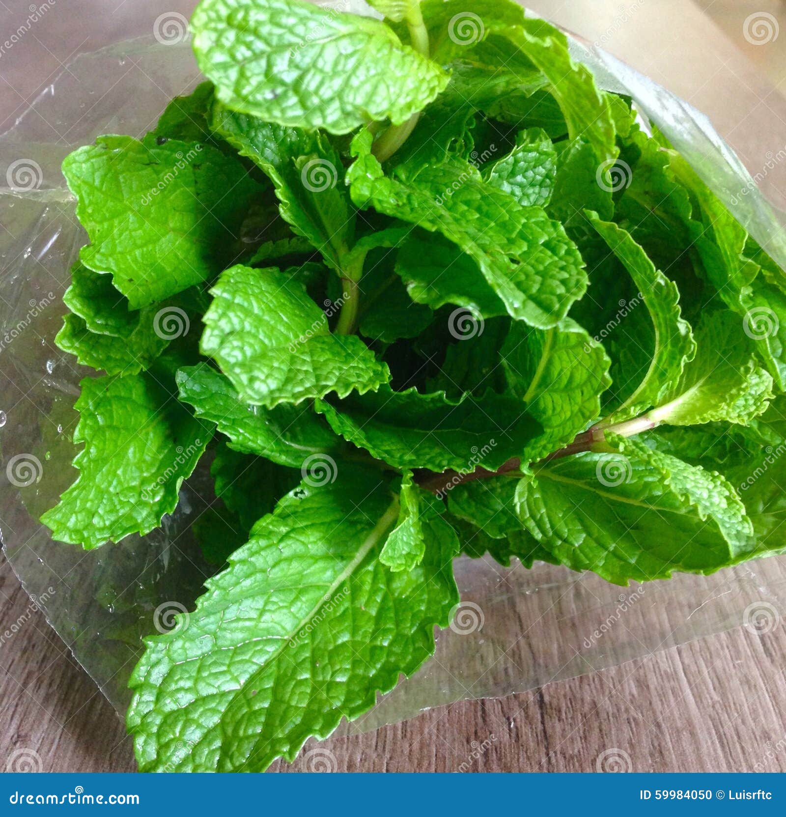 Mint leaves stock photo. Image of branch, several, leaves - 59984050