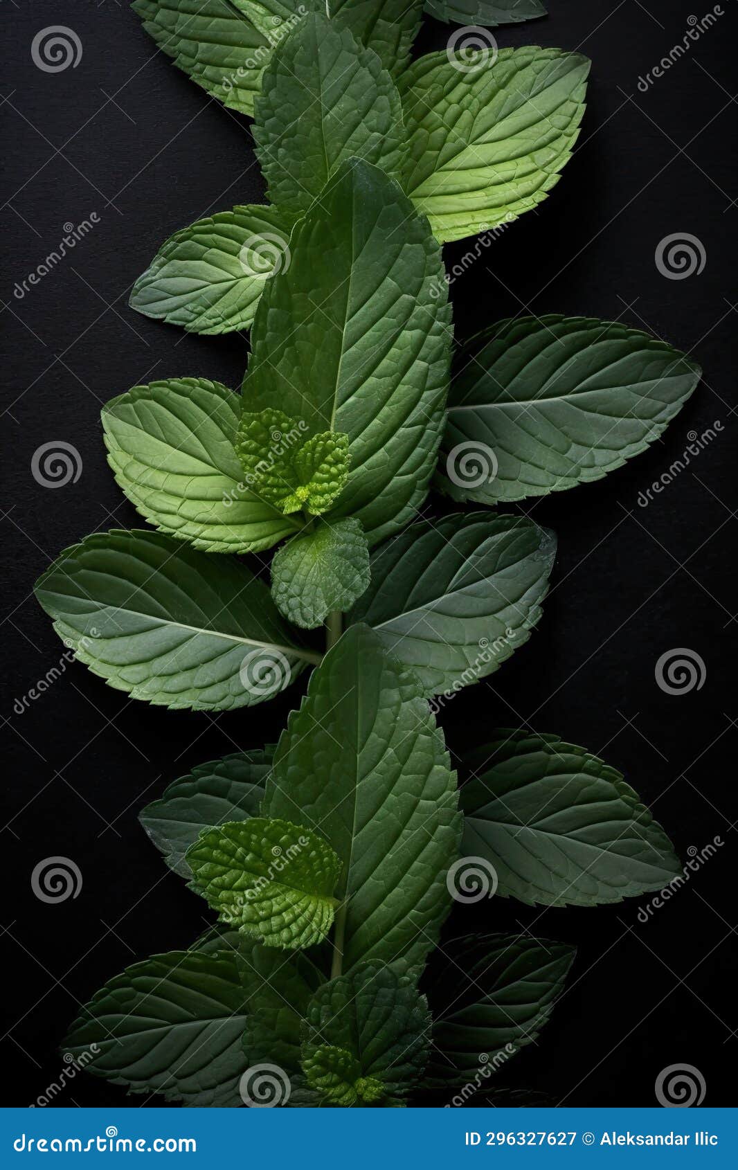 Mint Leaves on Dark Background. Top View Composition. Generative Ai ...