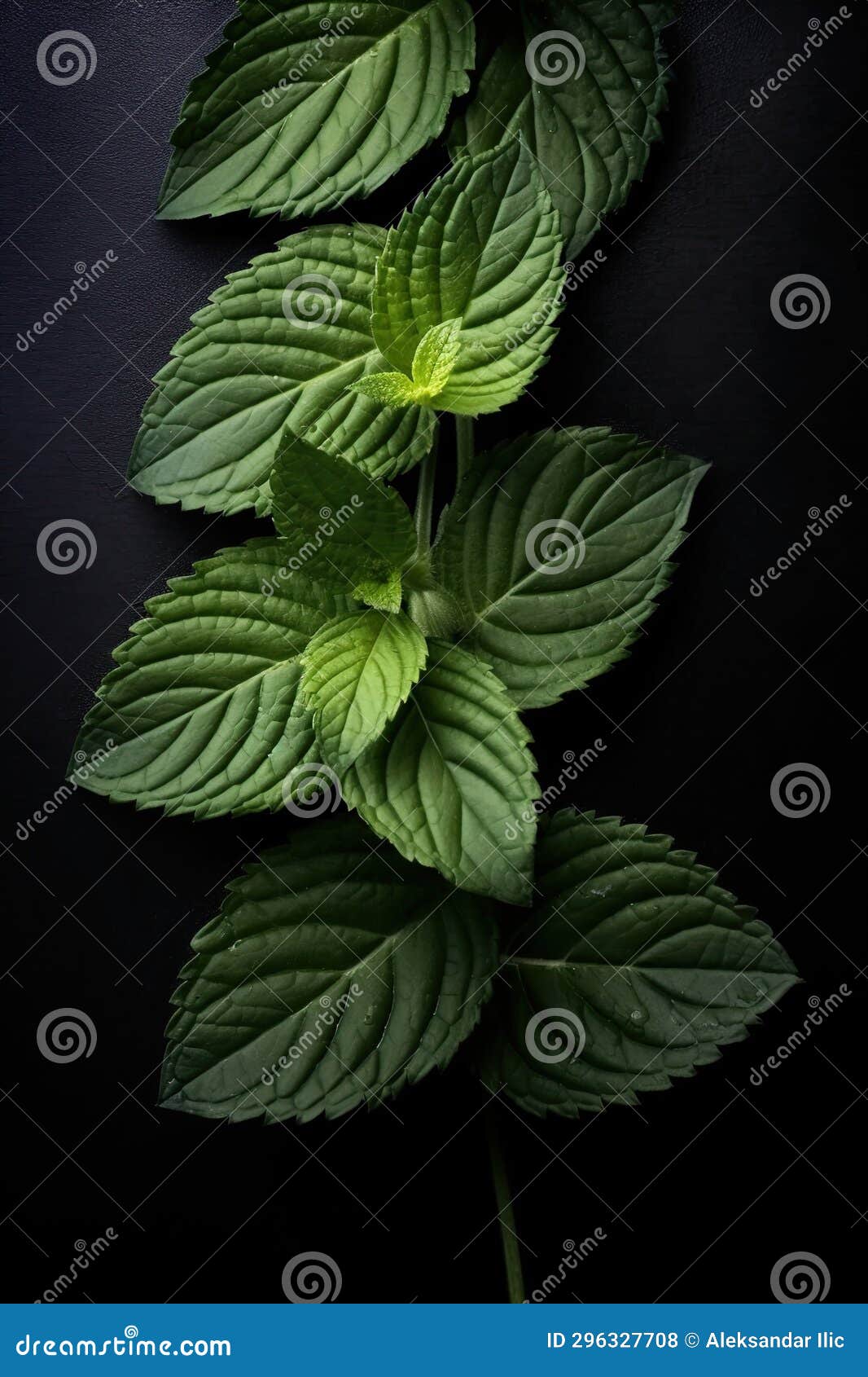 Mint Leaves on Dark Background. Top View Composition. Generative Ai ...