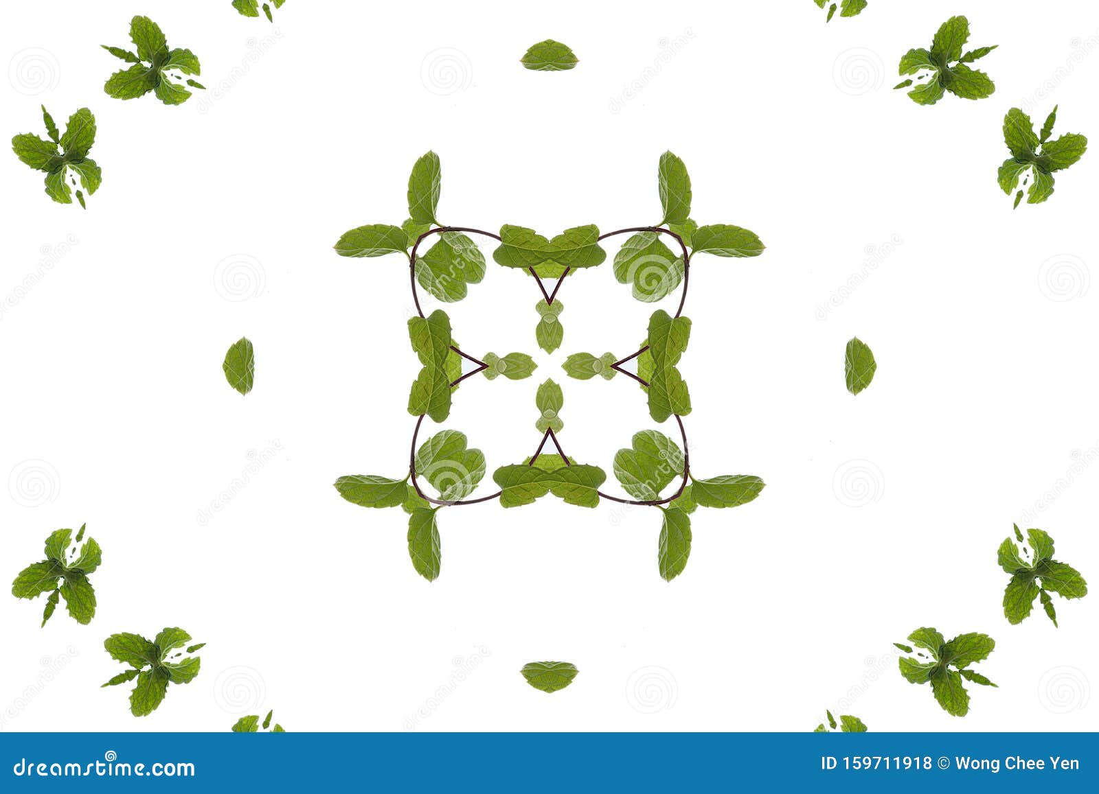 Mint Leaves Four Sided Design Background Stock Photo - Image of ...