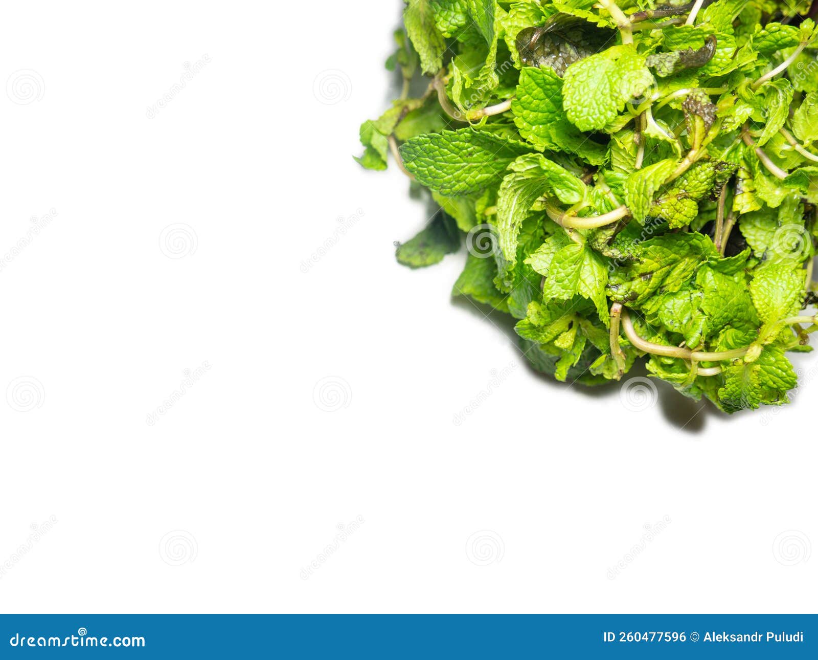 Mint Leaves on a White Background. a Bunch of Useful Grass. Plant ...