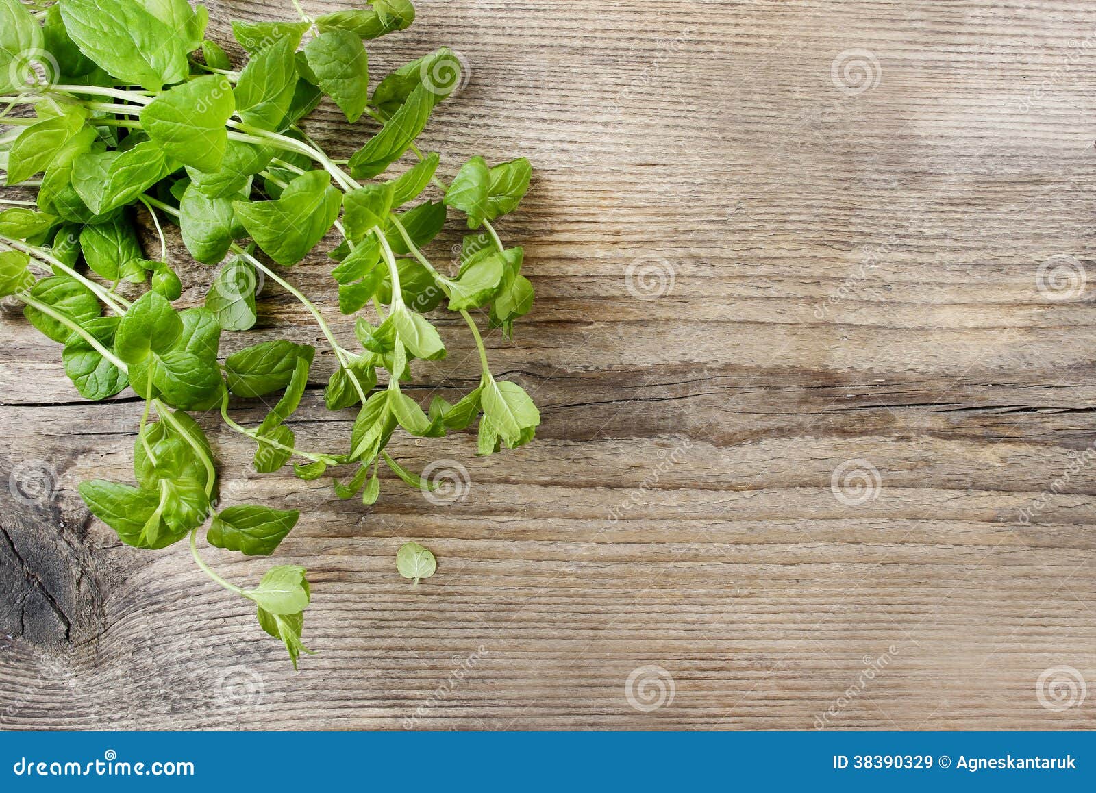 Mint Leaves on Wooden Table Stock Image - Image of food, gardening ...