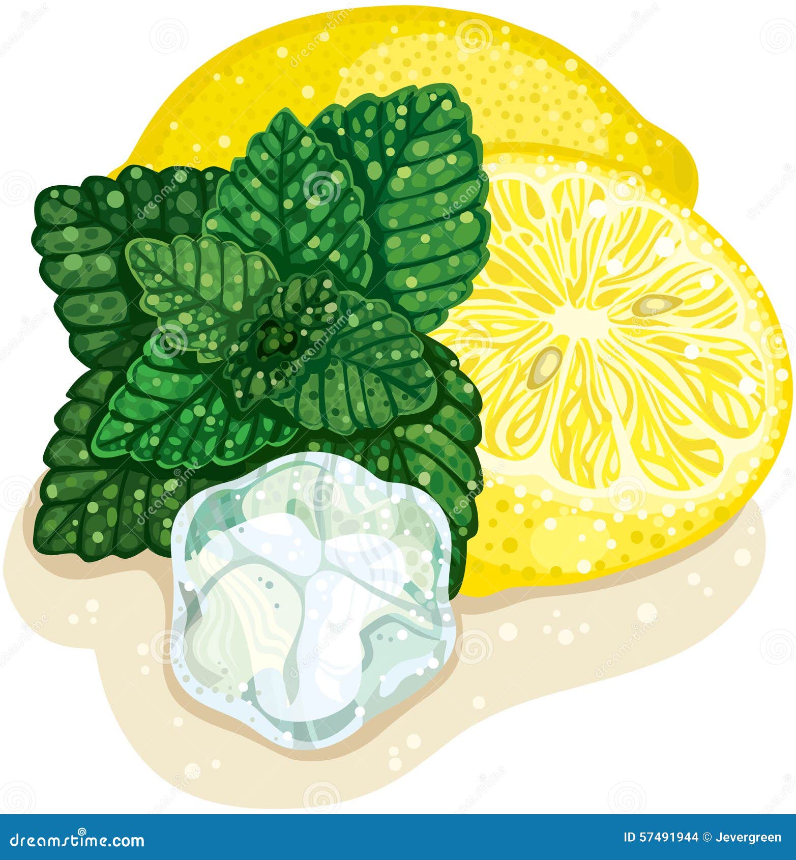 Mint and lemon stock illustration. Illustration of color - 57491944