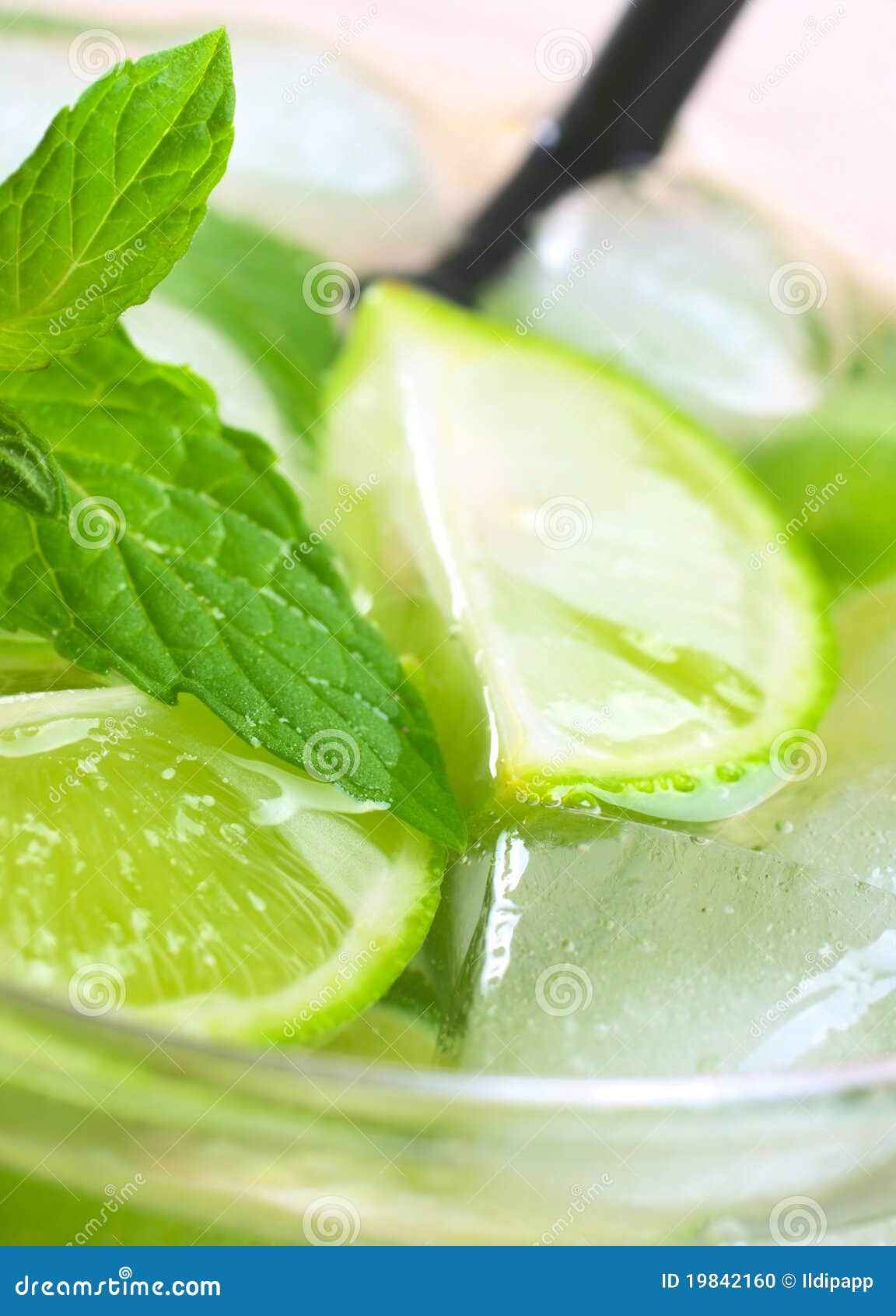 Mint, Lime, Ice Cube stock photo. Image of fresh, vertical - 19842160