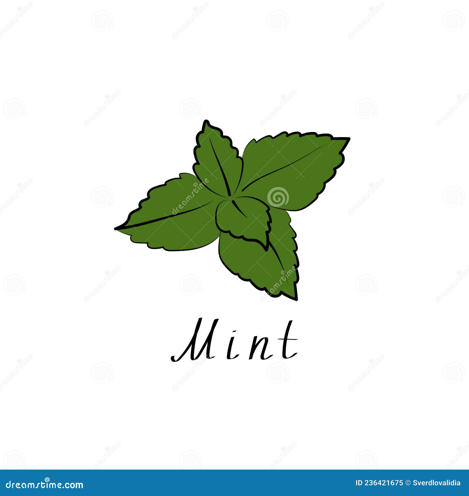 Mint Logo. Vector Herb Sign. Vegetarian Symbol Stock Vector ...