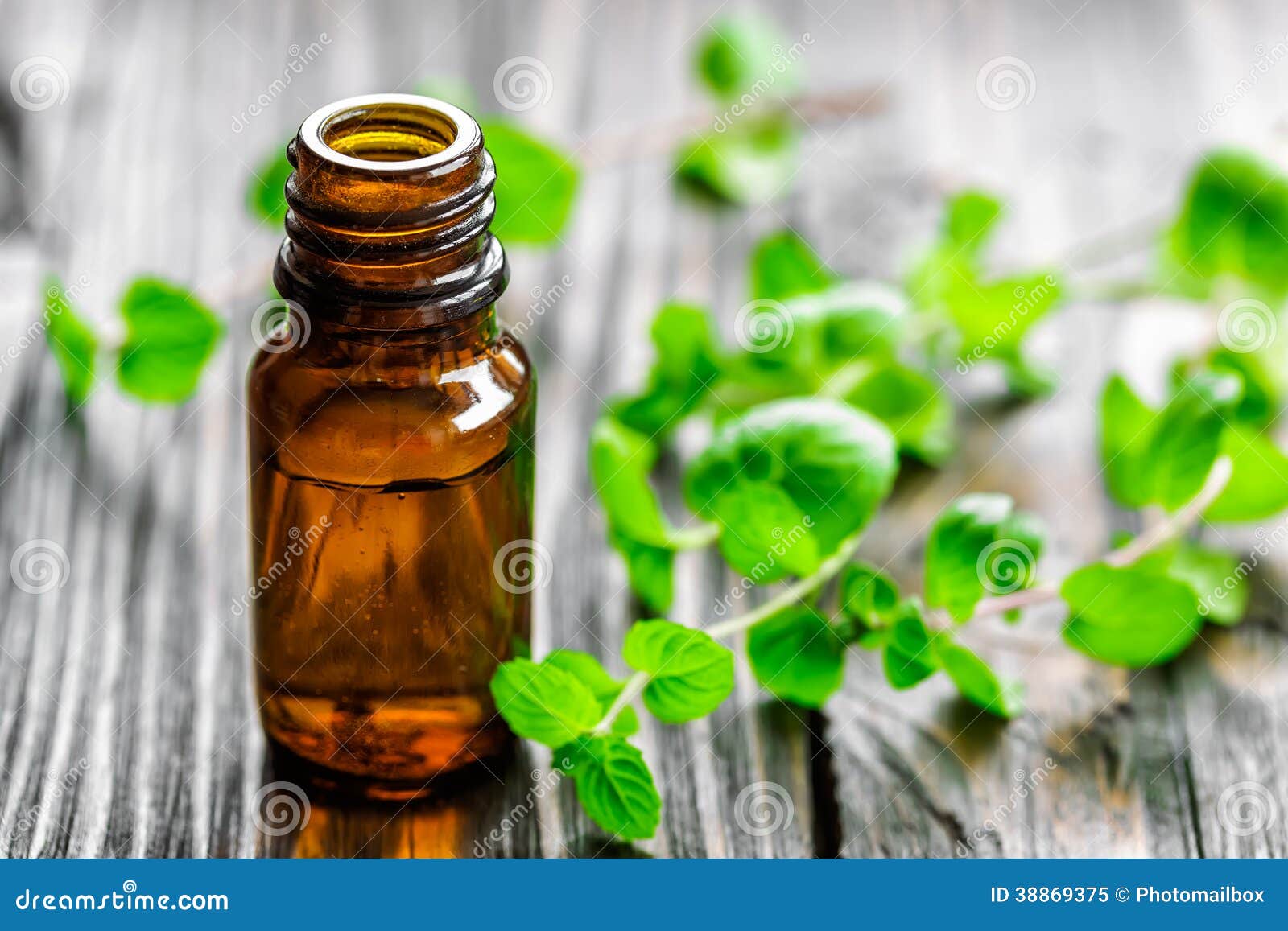 Mint oil stock image. Image of green, hygiene, fresh - 38869375