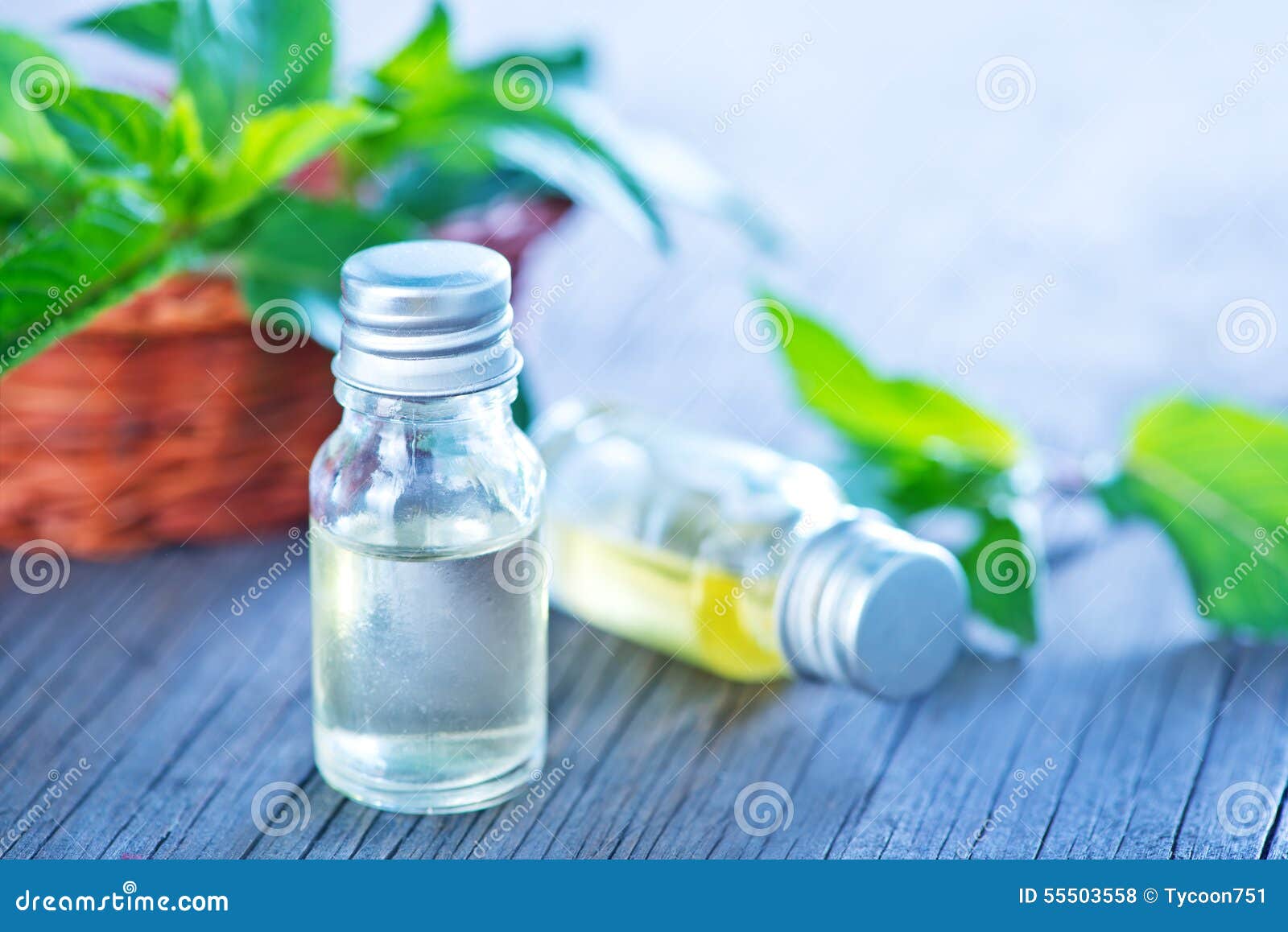 Mint oil stock photo. Image of natural, mint, homeopathy - 55503558